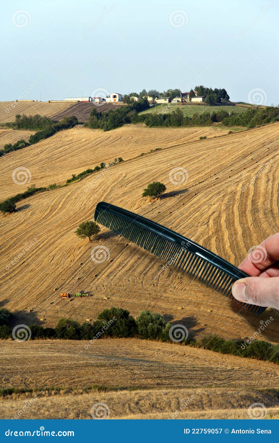 Comb Advertise Hairdressing Stock Image - Image of advertise, blank ...