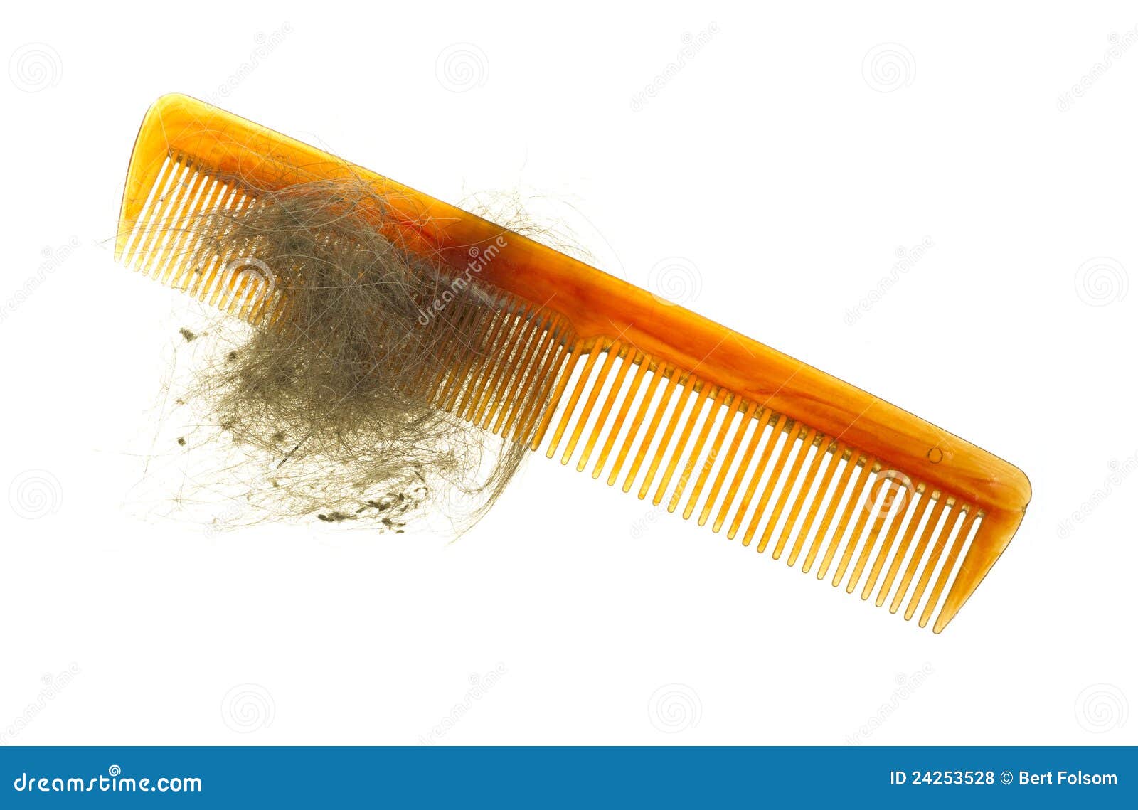 Comb with hair stock photo. Image of grooming, hair, isolated - 24253528