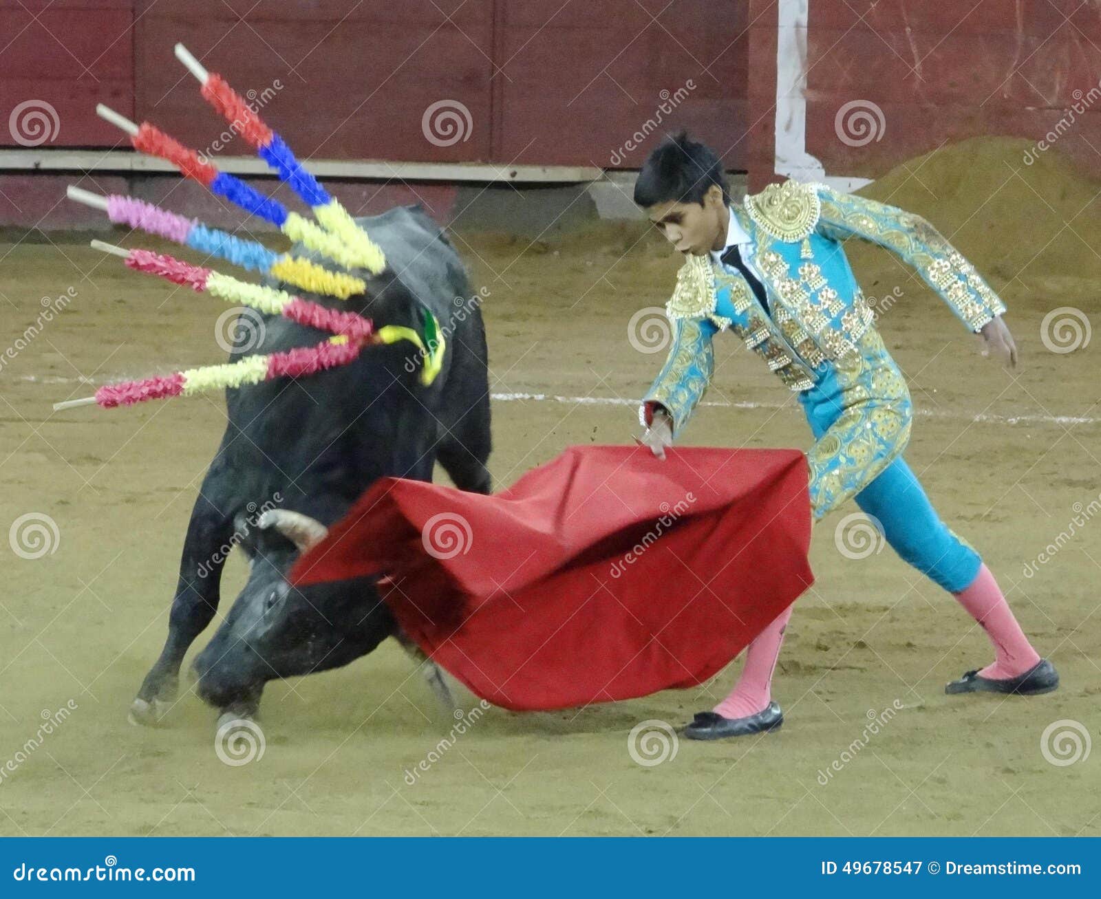 Combat De Taureau, Quito, Equateur Photographie éditorial - Image du ...