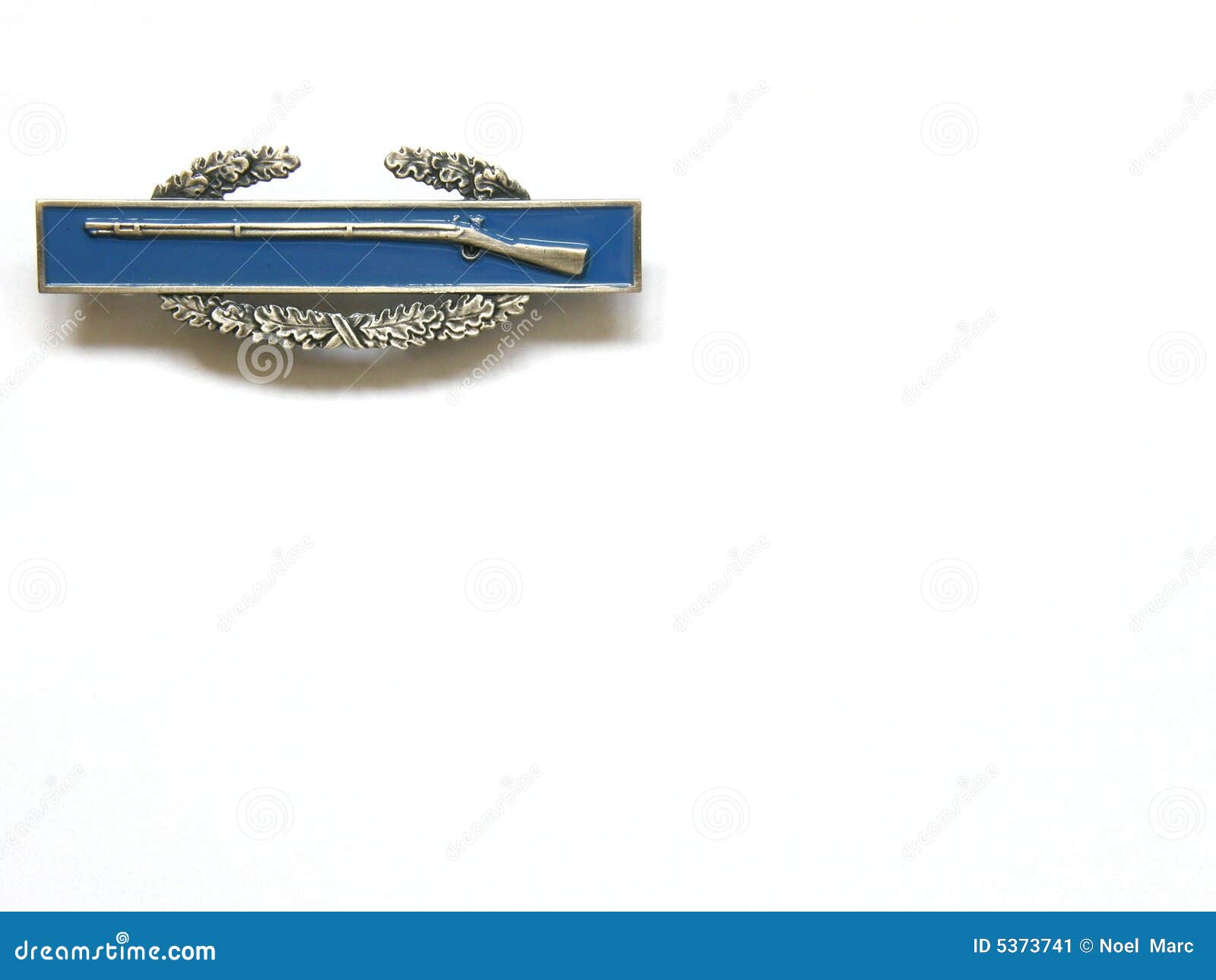 Combat infantry badge stock image. Image of award, defense - 5373741