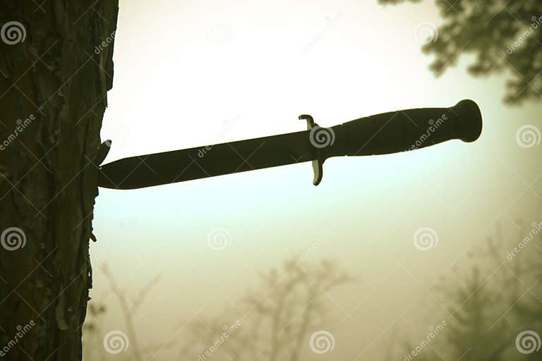 Combat knife in tree stock image. Image of security, knife - 2522341