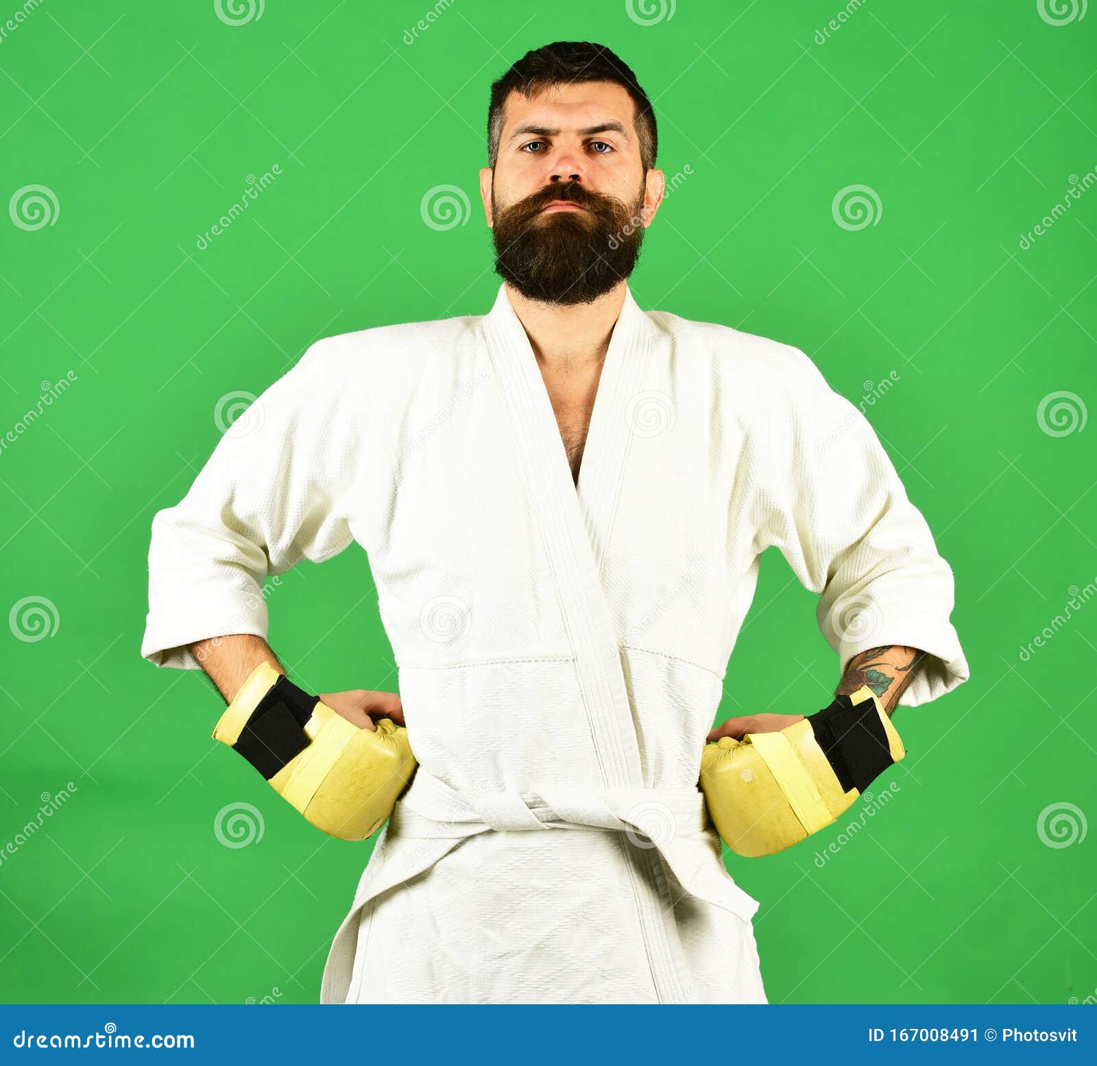 Combat Master Poses Demonstrating Muscles and Strength Stock Image ...