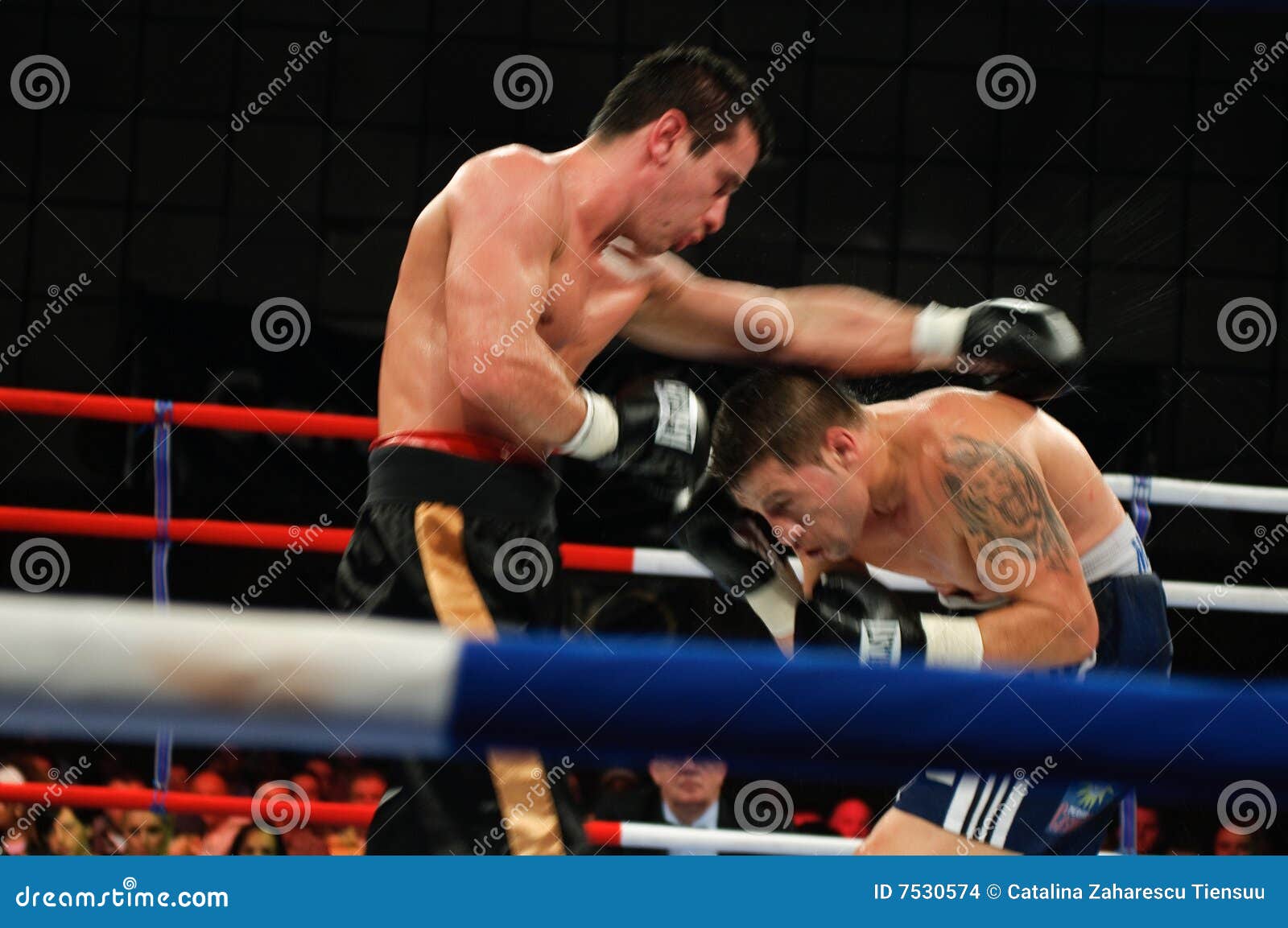 Combate De Boxeo Para El Título Mediterráneo De WBS Imagen de archivo ...