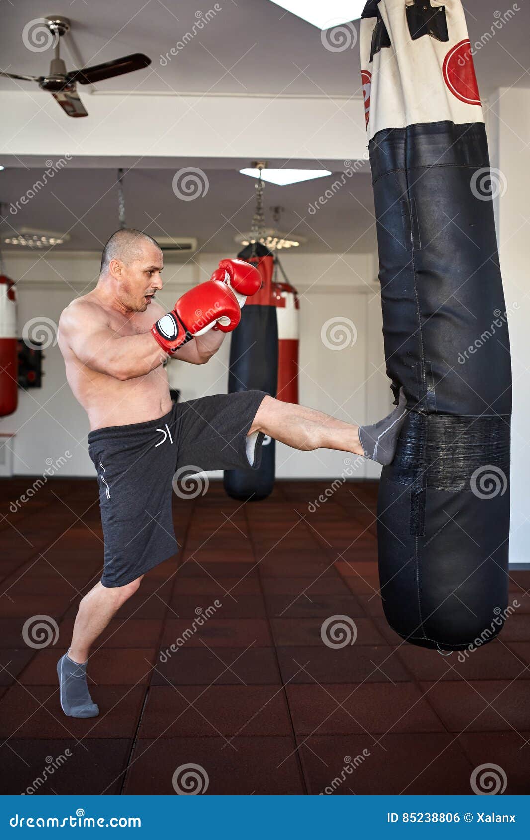 Combatiente De Kickbox Que Trabaja En Punchbags Foto de archivo ...