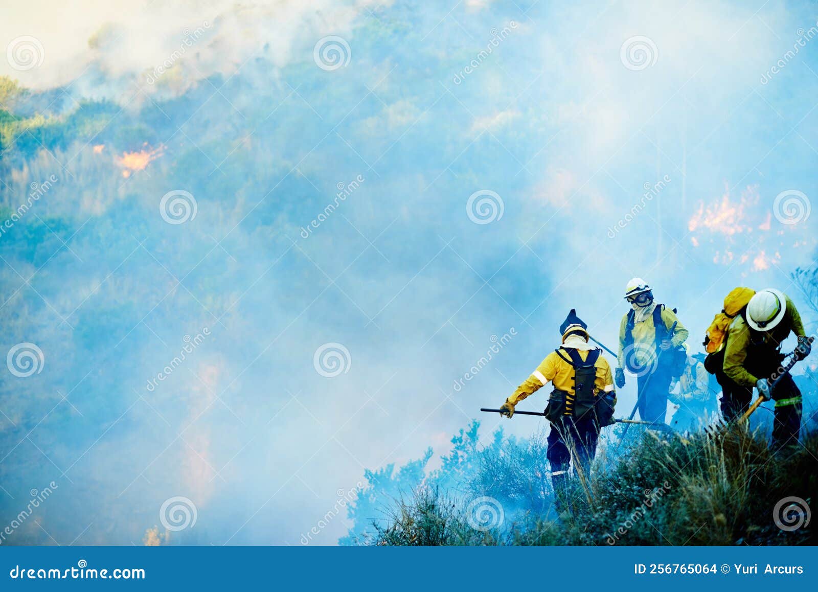 Combating the Wild Fire. Fire Fighters Combating a Wild Fire. Stock ...