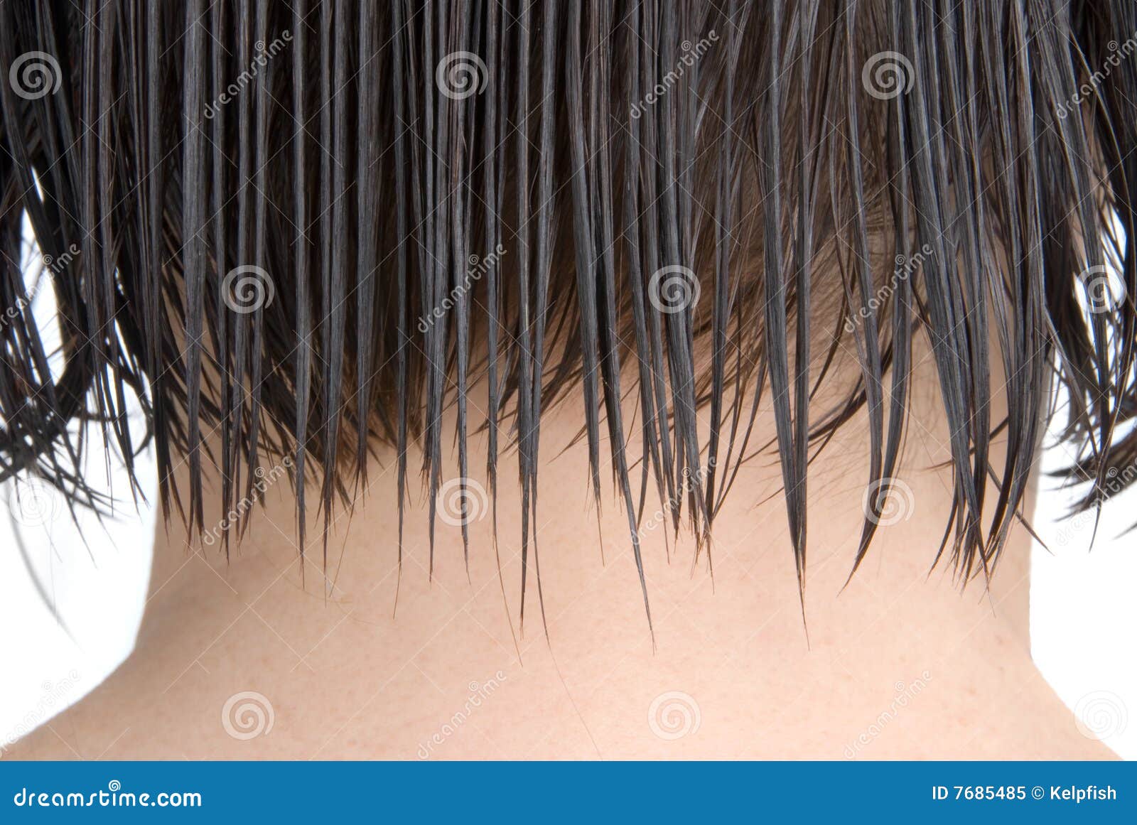 Combed hair stock image. Image of photograph, hygiene - 7685485