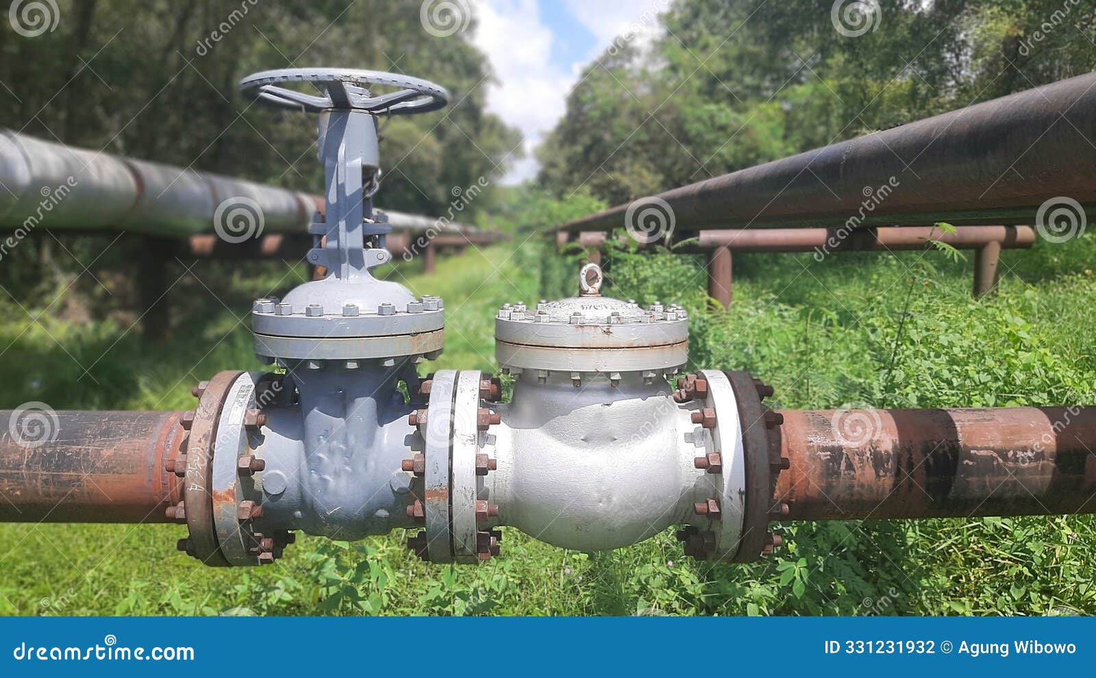 Combination between Ball Valve and Check Valaves are Common in Piping ...