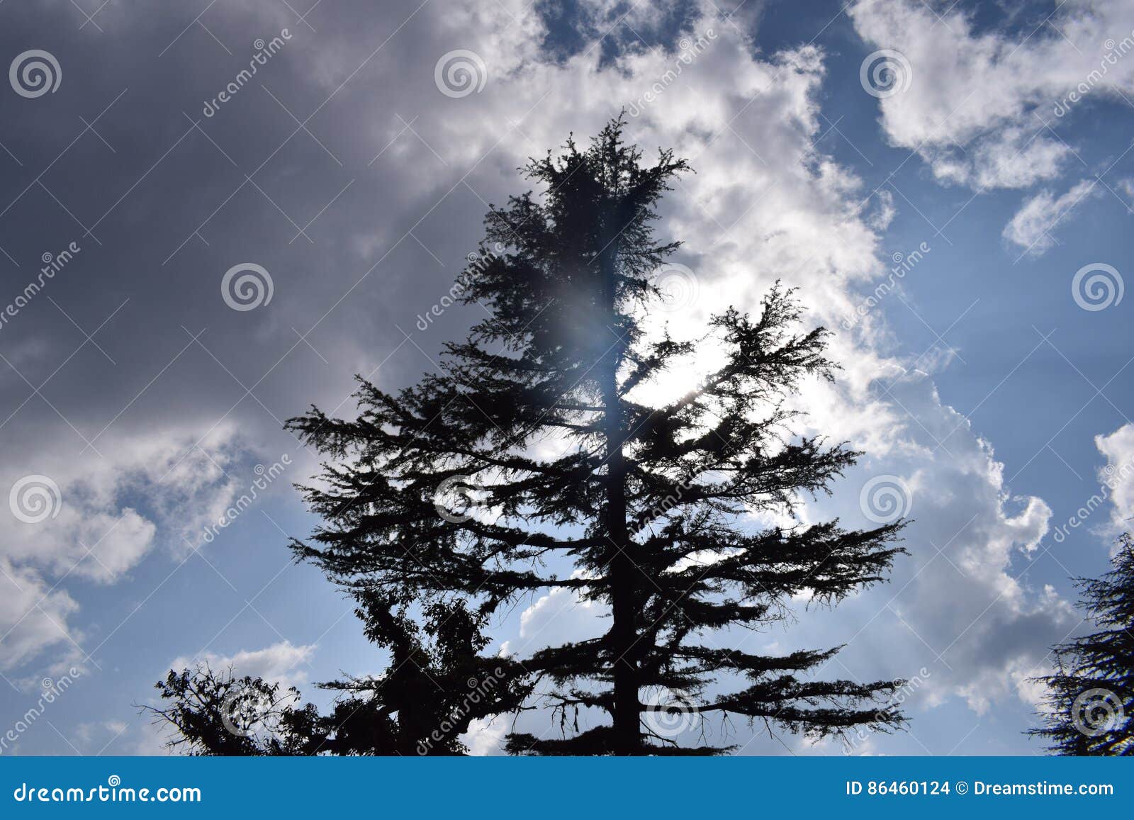 The Combination of Clouds ,tree and Sun Stock Photo - Image of house ...