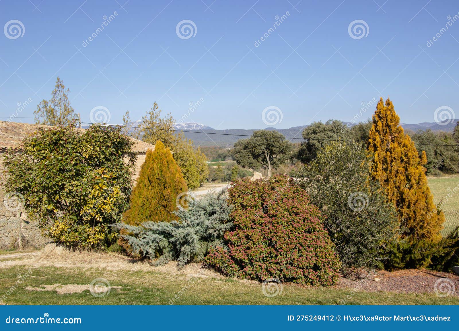 Combination of Colorful Plants and Trees Stock Photo - Image of nice ...