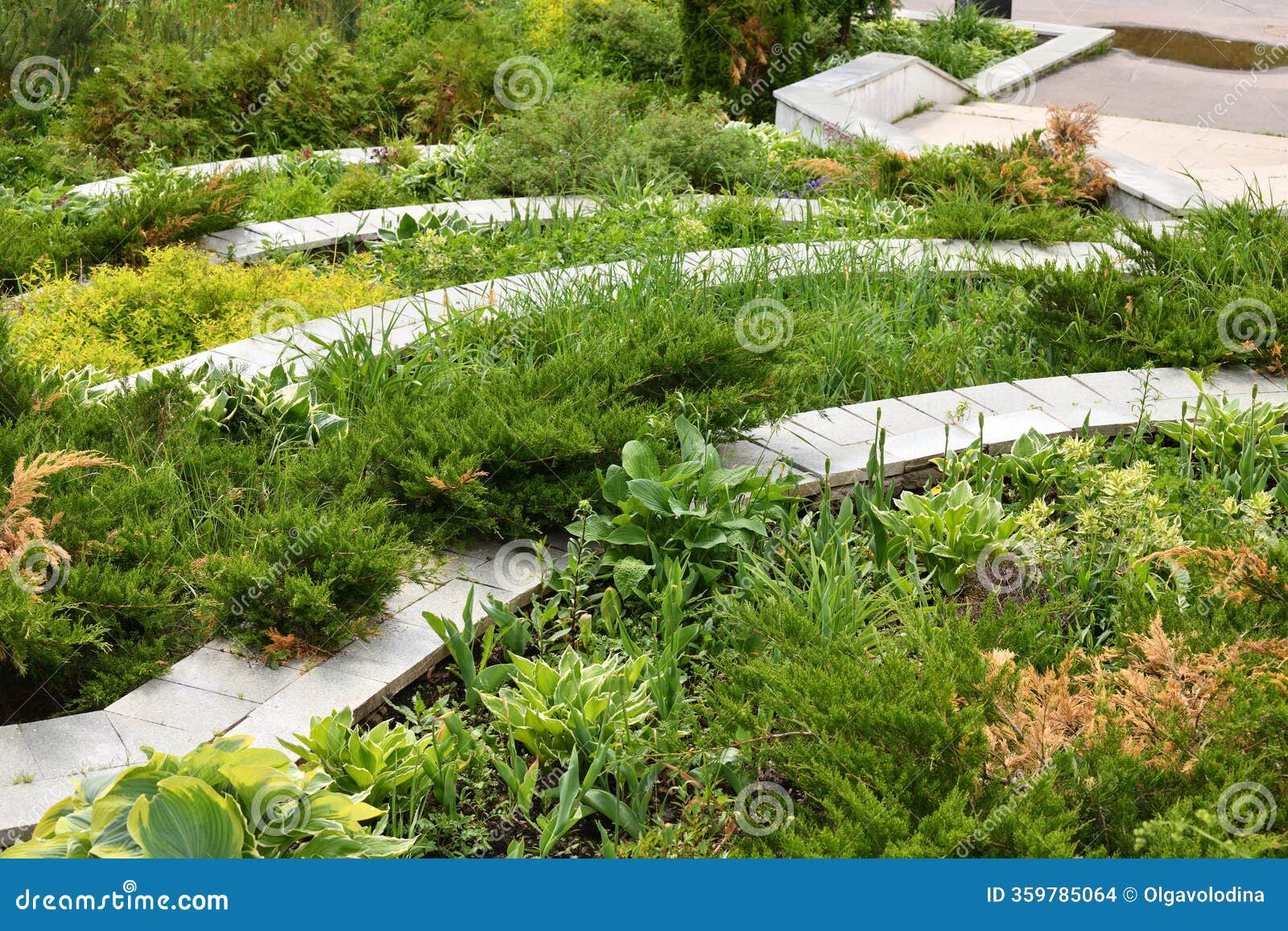 Combination of Different Plants in Landscape Design Stock Photo - Image ...