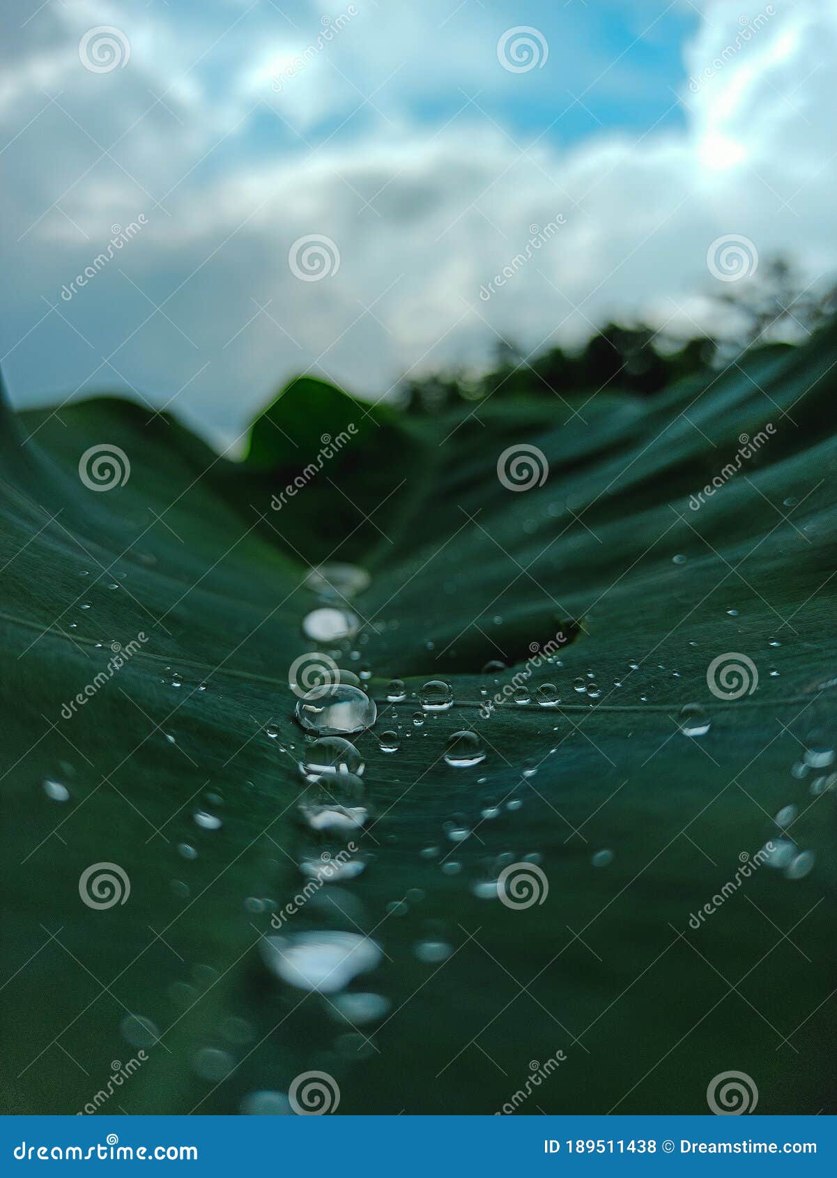 Combination of Nature and Talent Stock Photo - Image of clicked ...