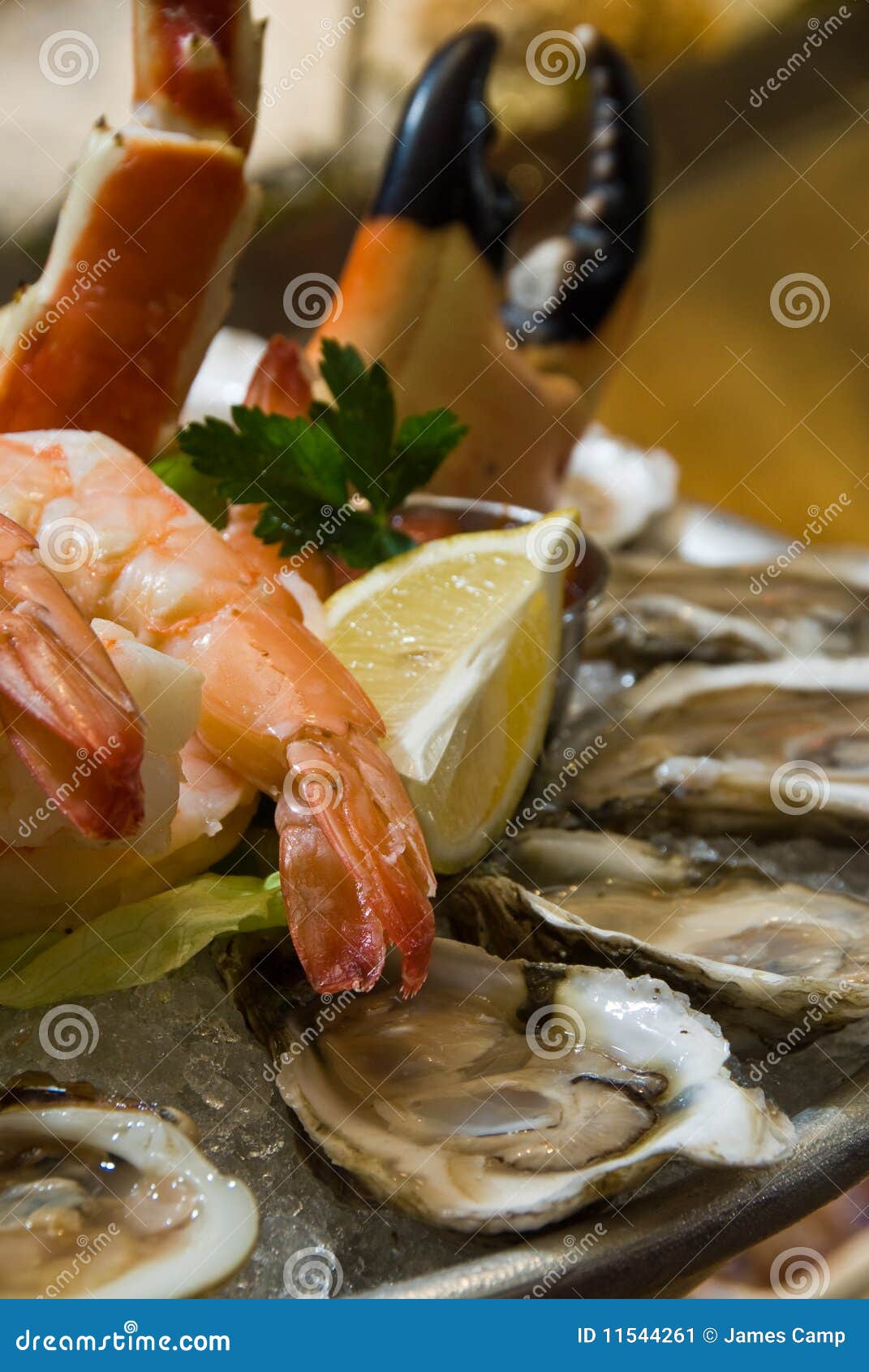 Combination Seafood Platter Stock Image - Image of fresh, shellfish ...