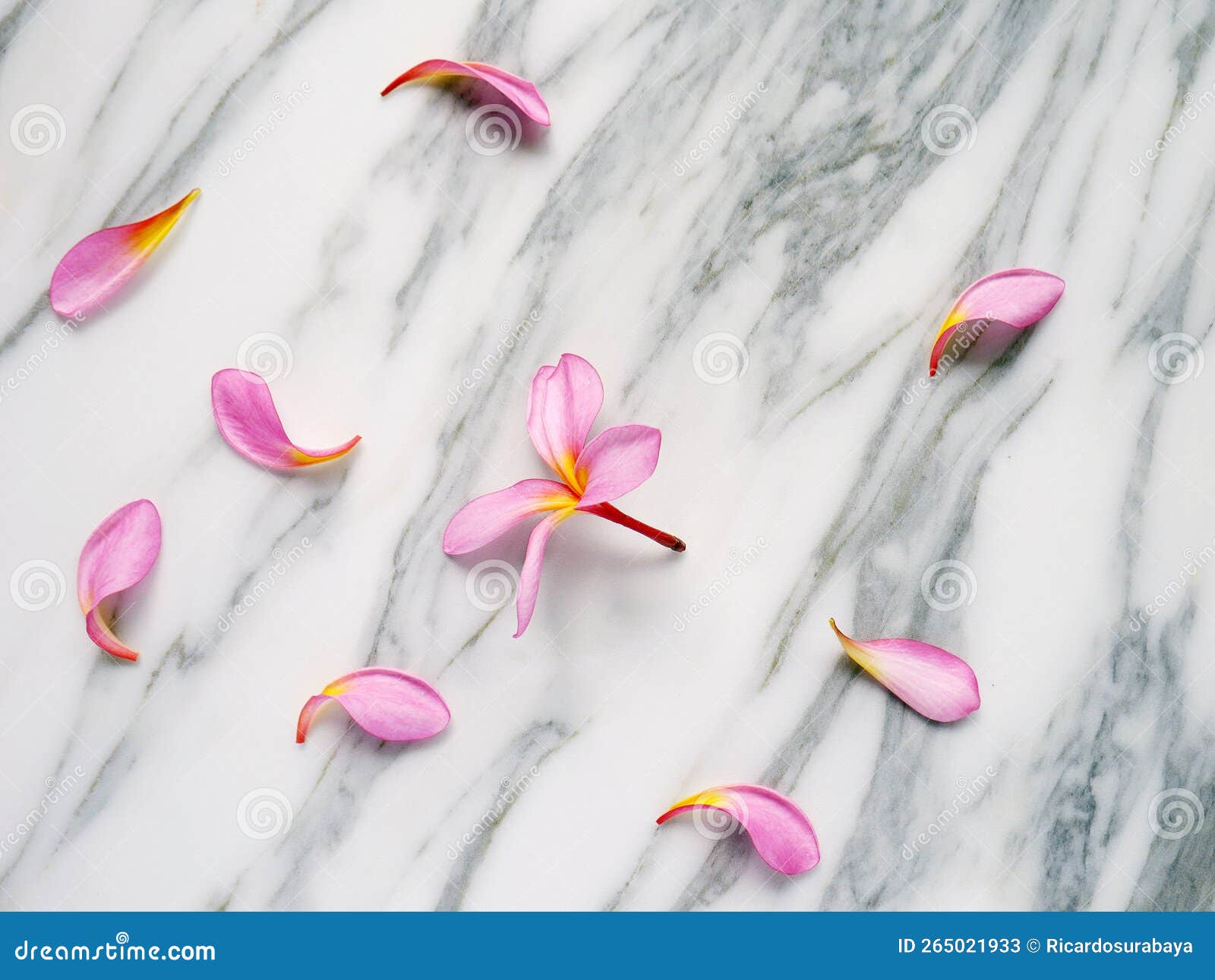 Combination of Spa Flowers and Petals for Relaxation Stock Image ...