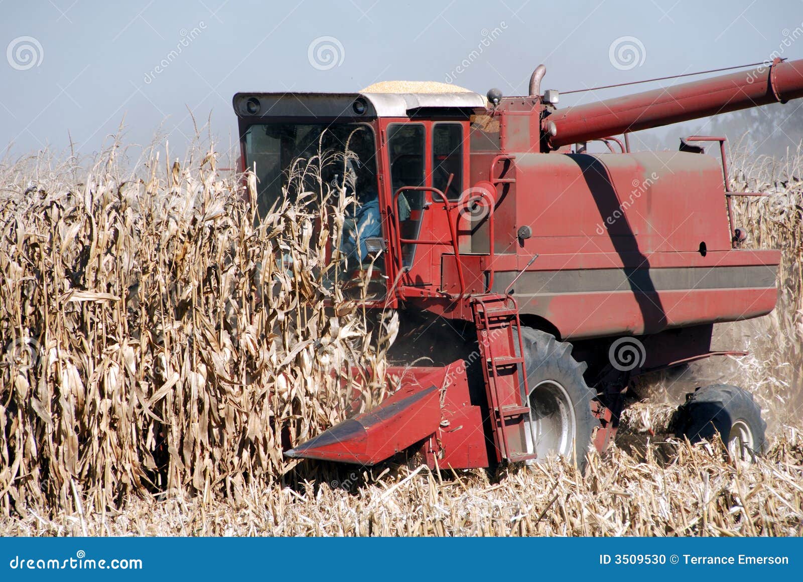 Combine and Corn stock photo. Image of combine, harvest - 3509530