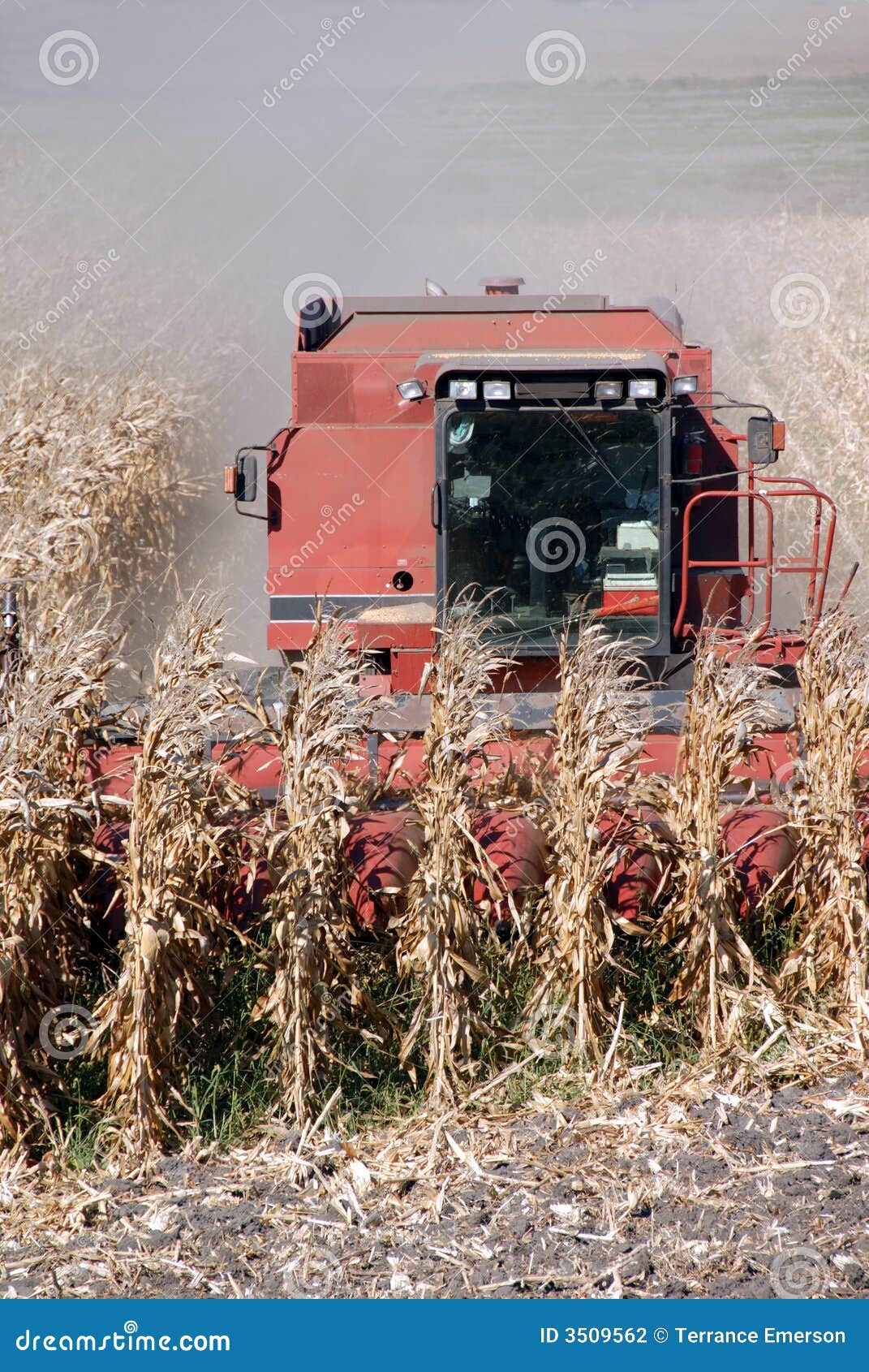 Combine and Corn stock photo. Image of october, horticulture - 3509562