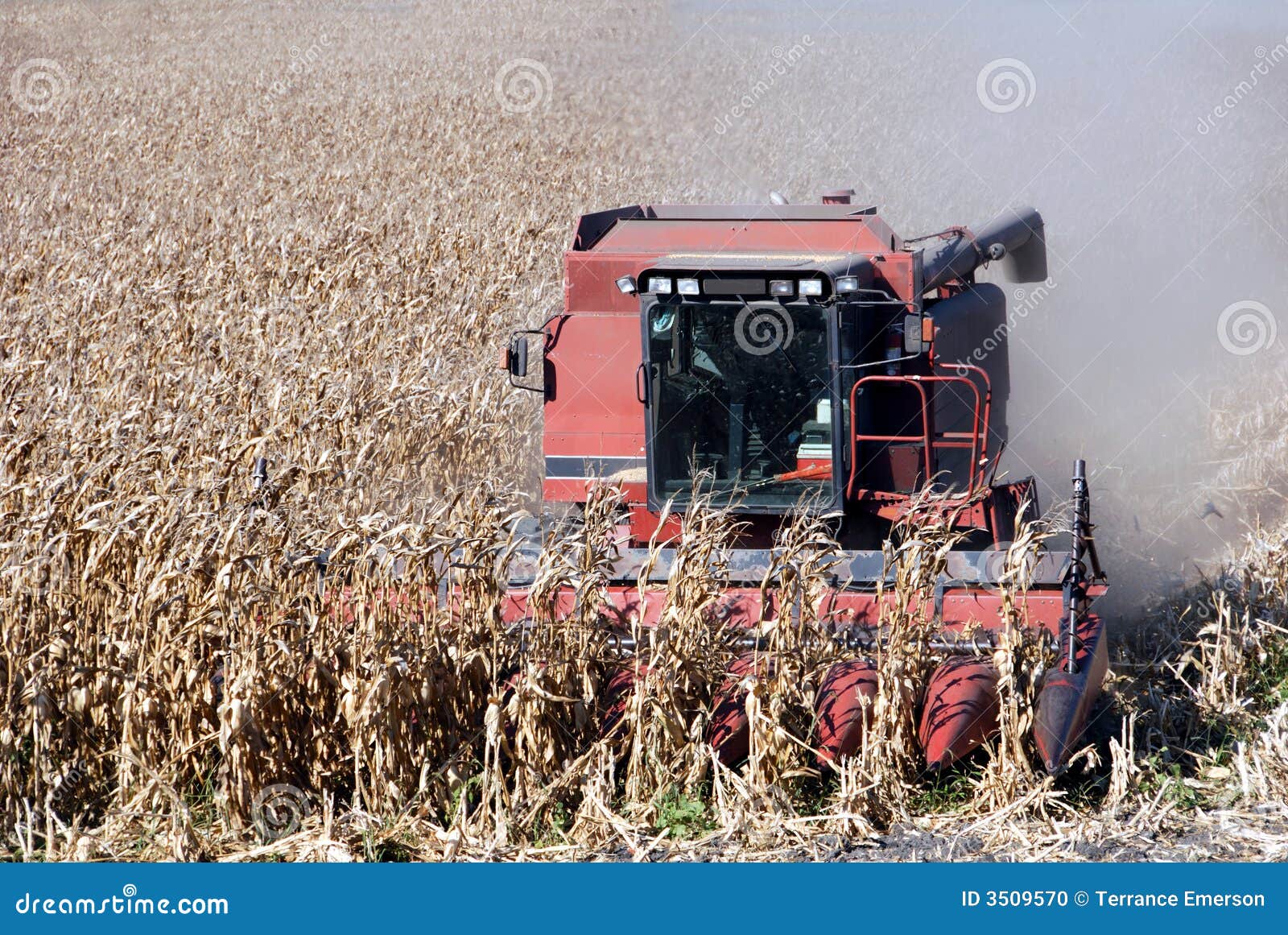 Combine and Corn stock photo. Image of commodities, reaping - 3509570