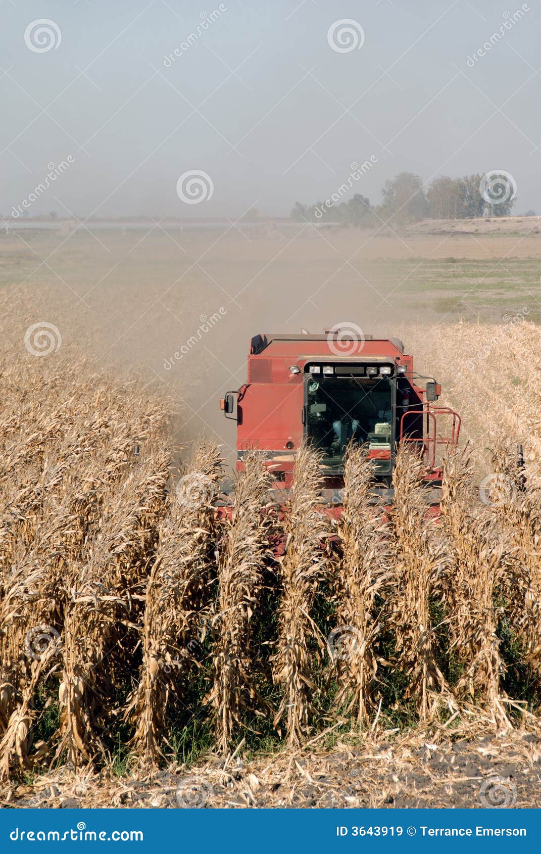 Combine and Corn stock image. Image of environmentally - 3643919