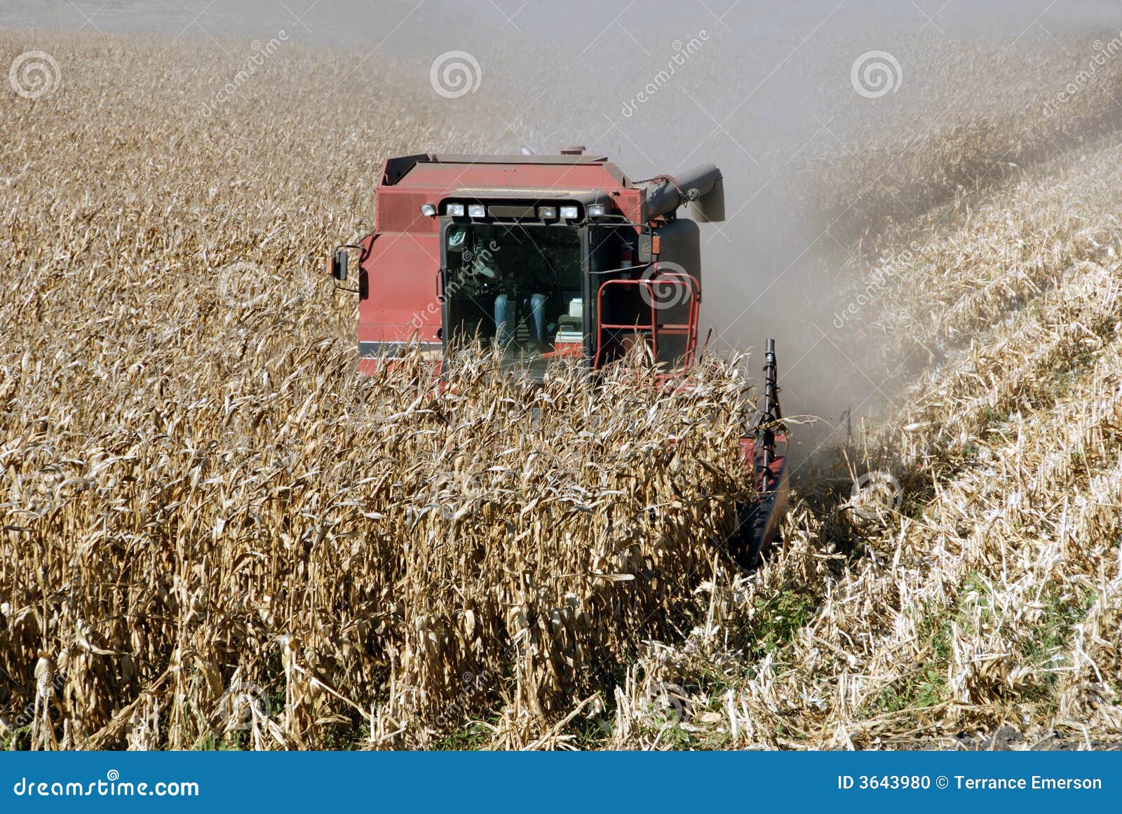 Combine and Corn stock photo. Image of clean, clouds, biofuels - 3643980