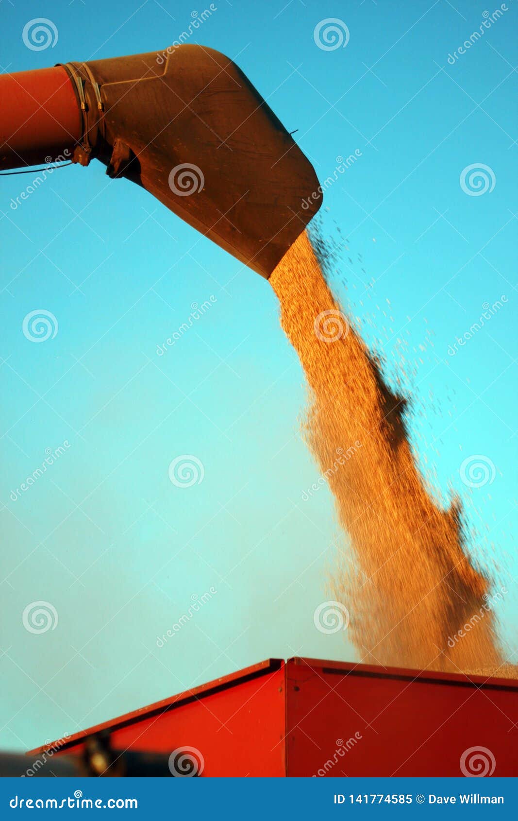 Combine Emptying Corn into a Truck Stock Image - Image of machinery ...