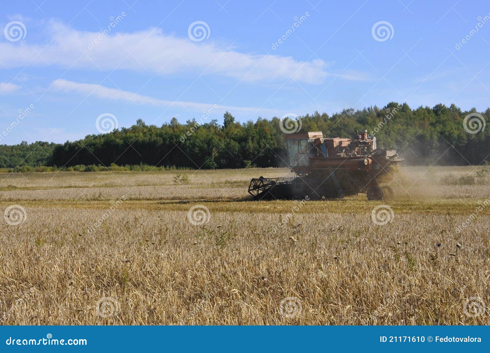 Combine in the field stock photo. Image of field, wood - 21171610