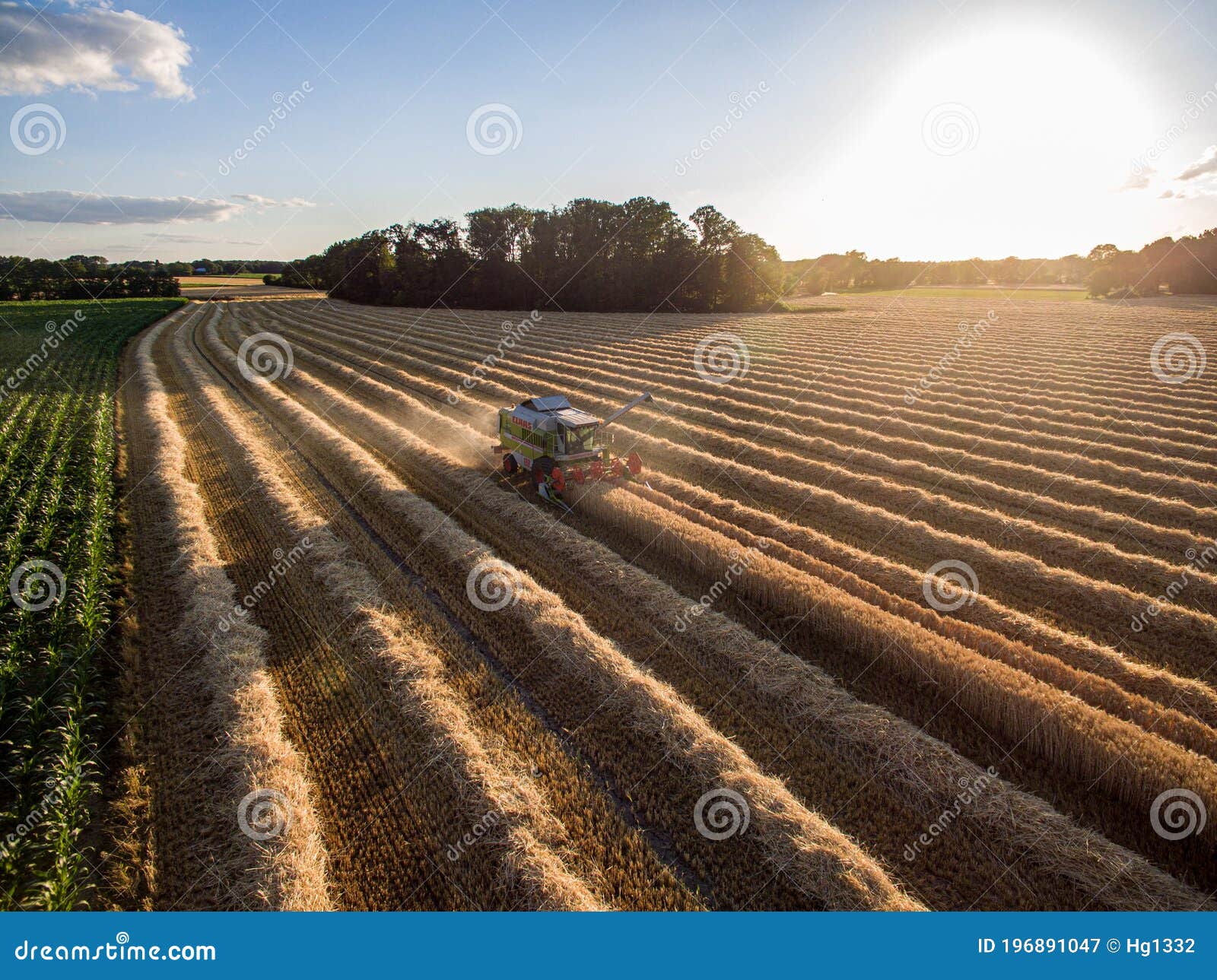 Combine in the Field during the Harvest Editorial Photography - Image ...