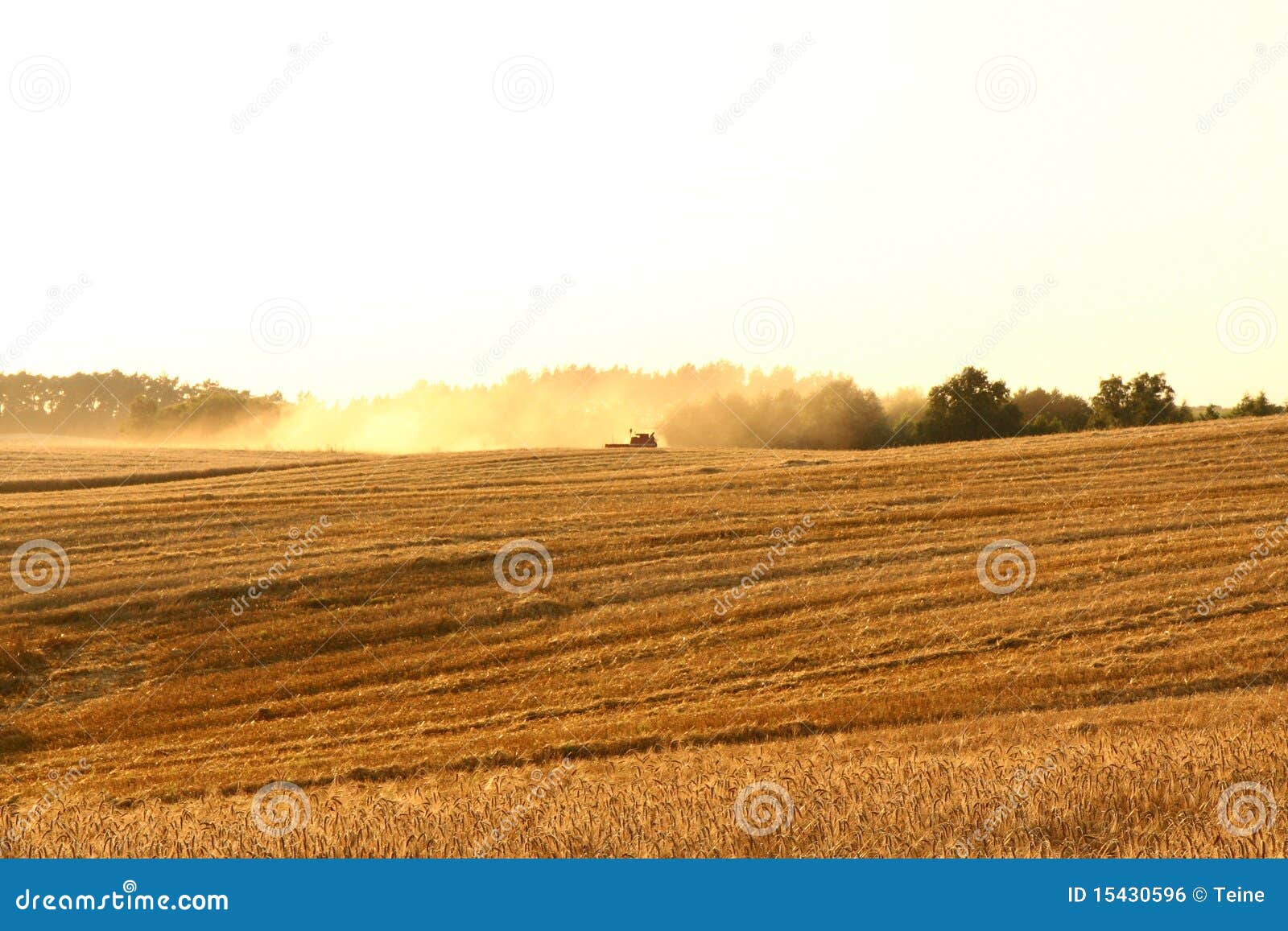 Combine on a field of rye stock photo. Image of cutting - 15430596