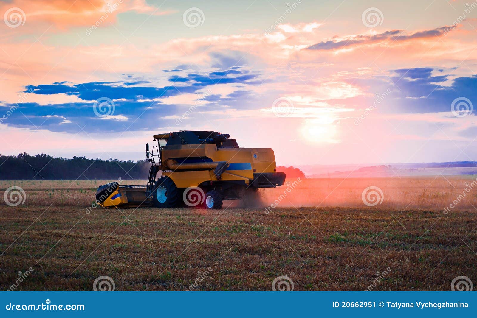 Combine in the Field of Wheat Stock Image - Image of harvester ...