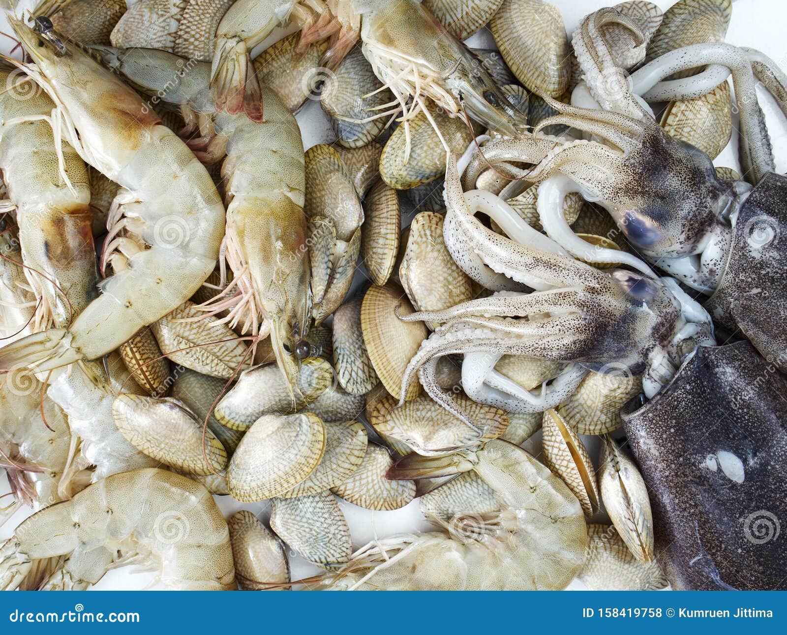 Shellfish, Squid and Fresh Shrimp on White Background Stock Photo ...