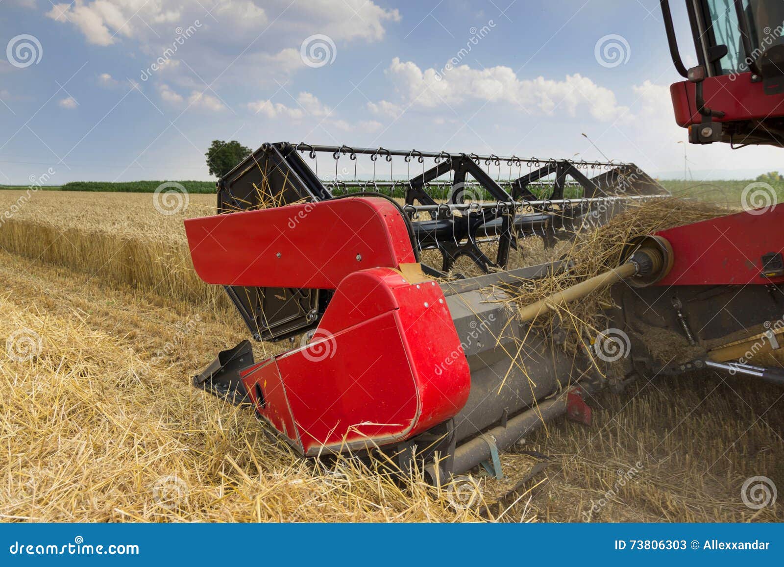 Combine Harvester Close Up. Combine Harvester Harvesting Wheat. Grain ... Combine Harvester Close Up. Combine Harvester Harvesting Wheat. Grain ...