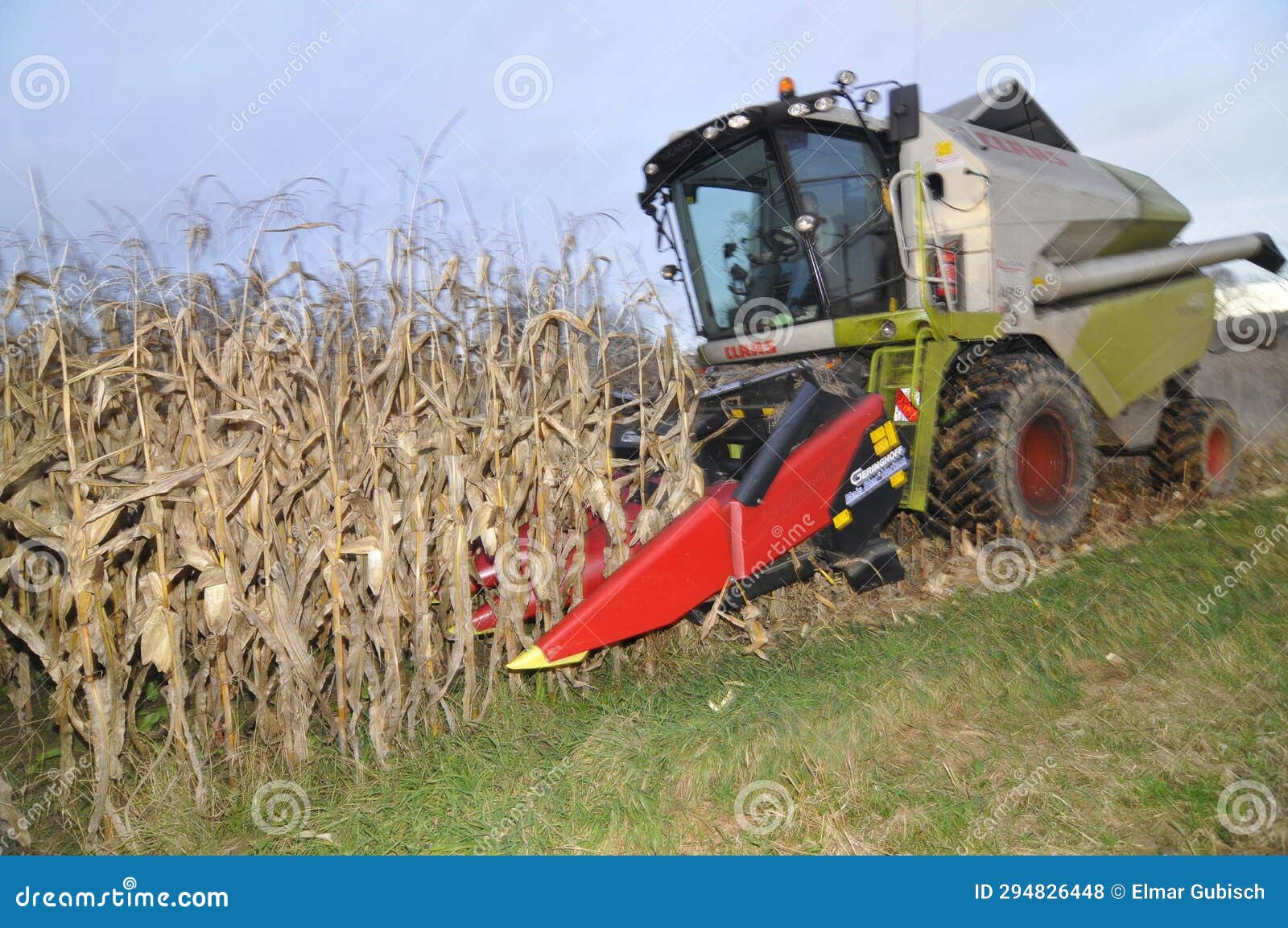 A Combine Harvester in the Corn Harvest Editorial Stock Photo - Image ... A Combine Harvester in the Corn Harvest Editorial Stock Photo - Image ...