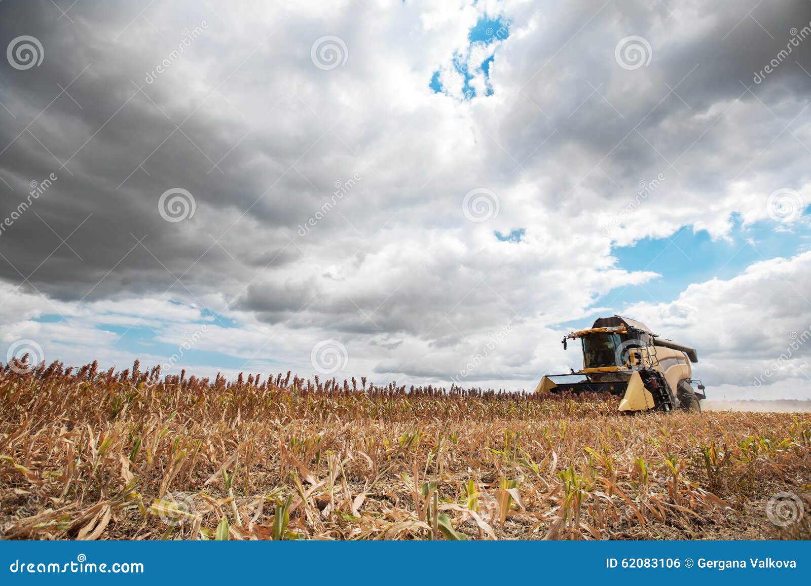 Combine Harvester on Farm Field Stock Photo - Image of cereal ...