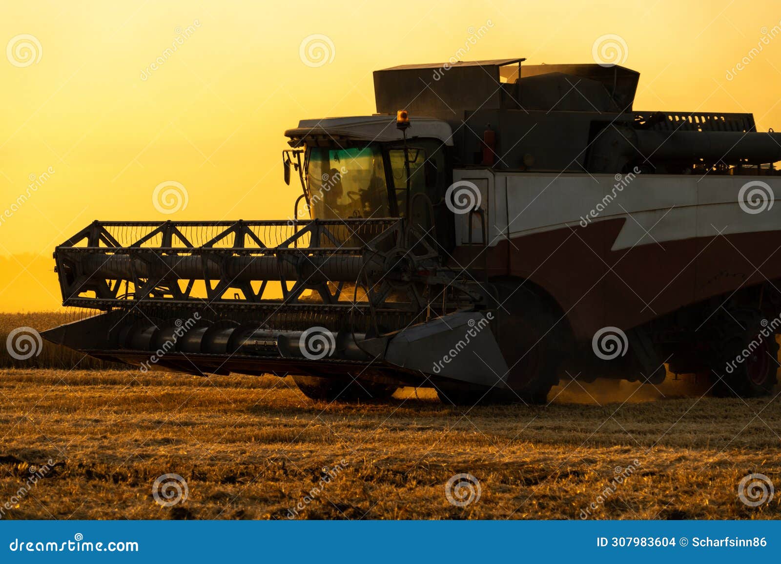 Combine Harvester on the Field at Sunset Stock Photo - Image of ...