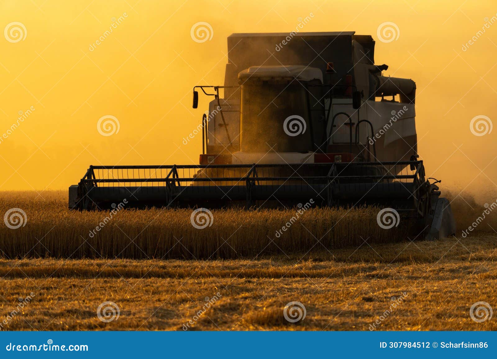 Combine Harvester on the Field at Sunset Stock Photo - Image of rural ...