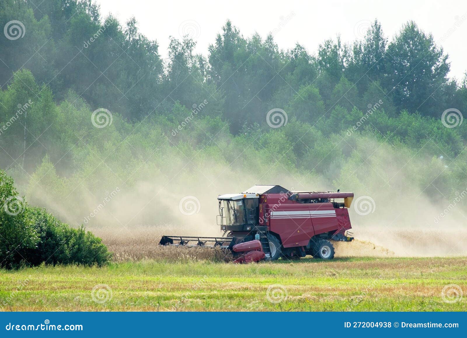 Combine Harvester Harvest Wheat Crop in the Clouds of Dust Stock Photo ...