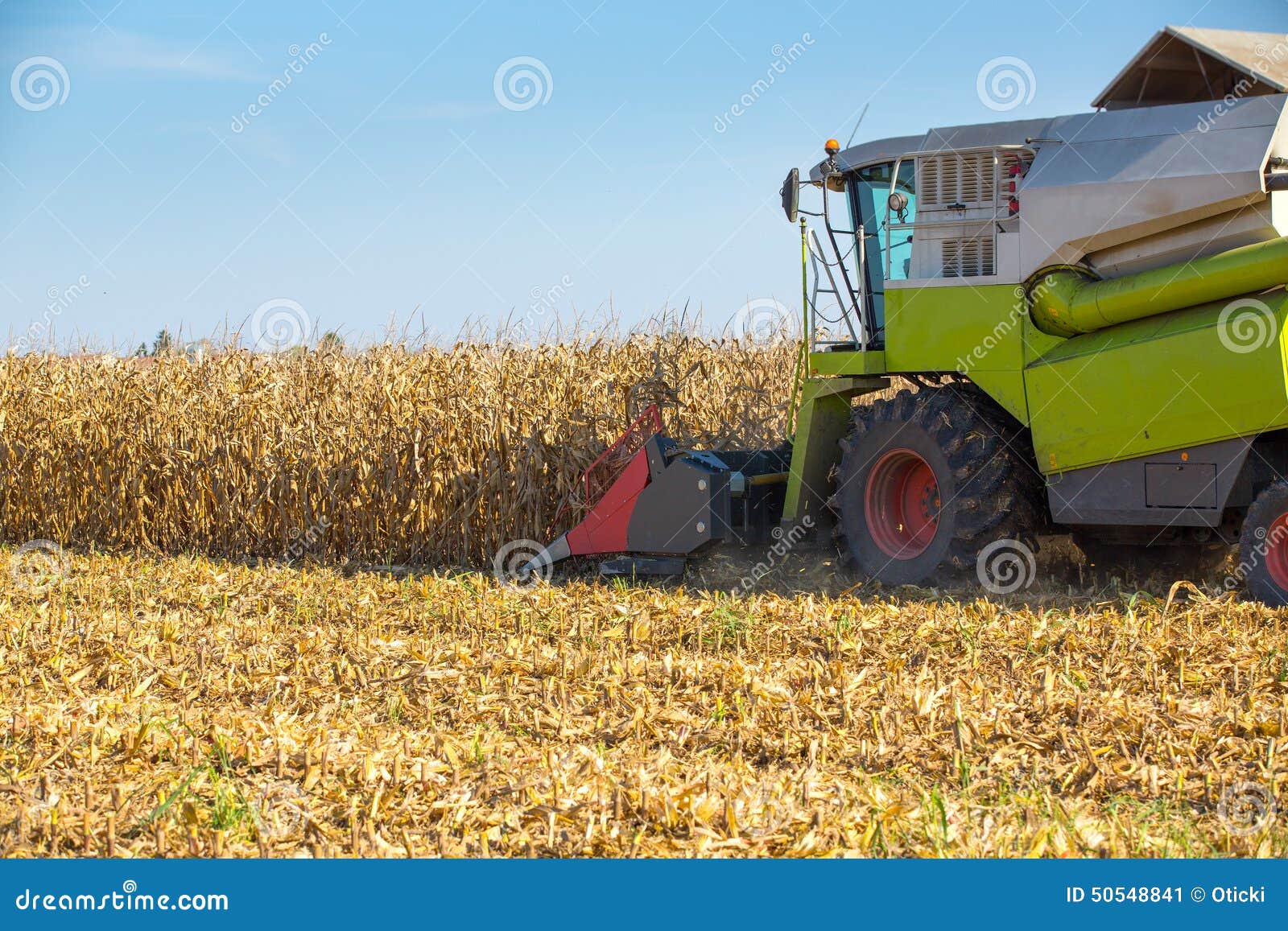 Combine Harvester Harvesting Corn Maize Grains Stock Image - Image of ...