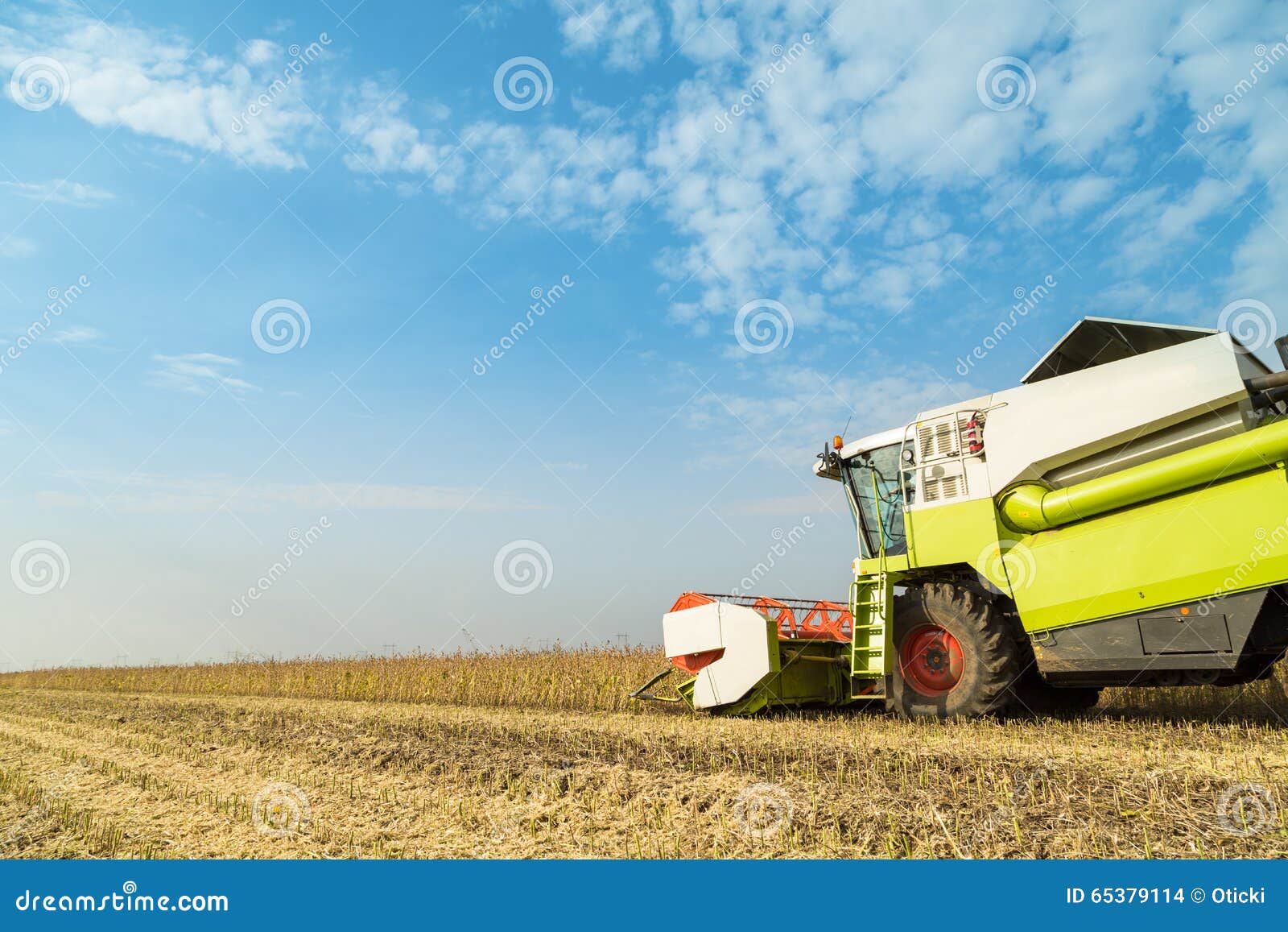 Combine Harvester Harvesting Soybean at Field. Stock Photo - Image of ...