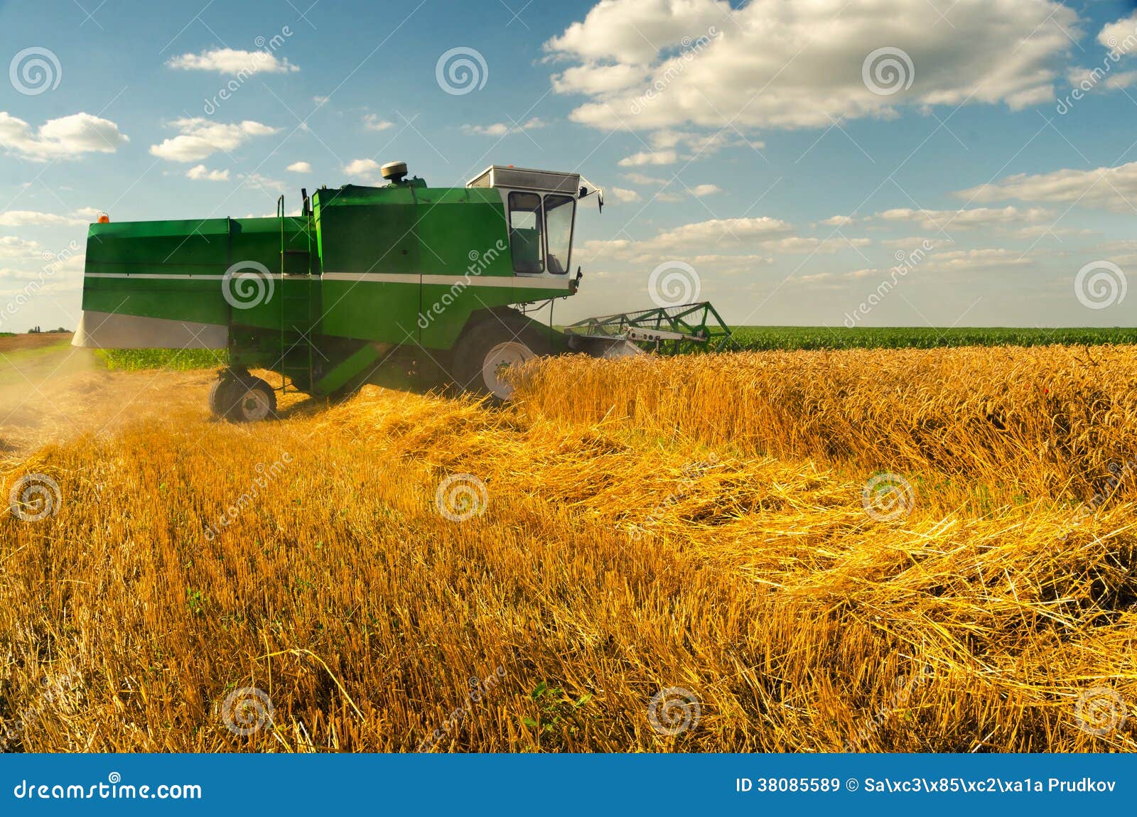 Combine Harvester Harvesting Wheat Stock Image - Image of farmland ...