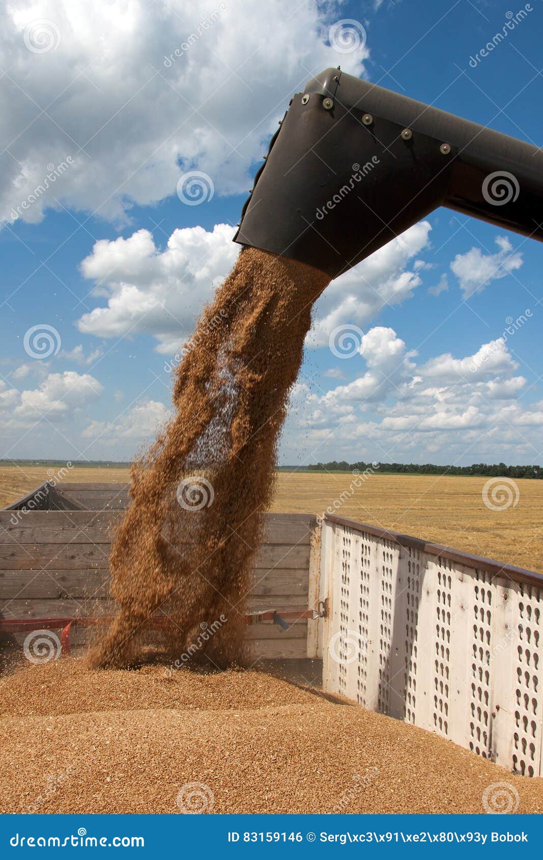 Combine Harvester Load Wheat in the Truck Stock Photo - Image of ... Combine Harvester Load Wheat in the Truck Stock Photo - Image of ...