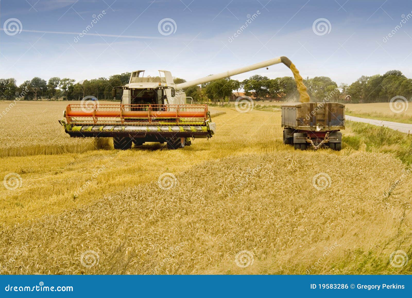 Combine Harvester Loading Grain (Wheat) into a Tra Stock Photo - Image ...