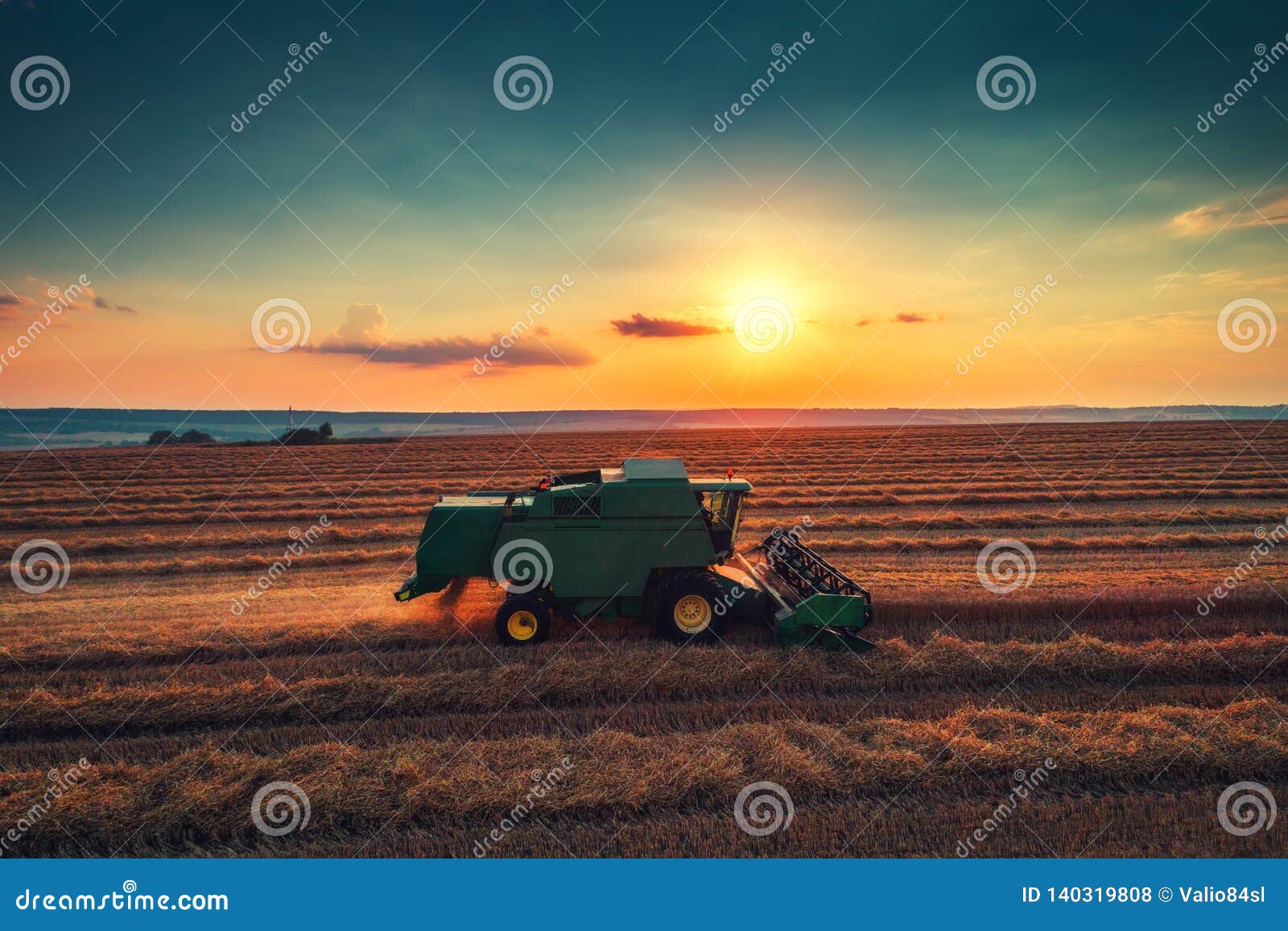 Combine Harvester Machine Working in a Wheat Field at Sunset Stock ...