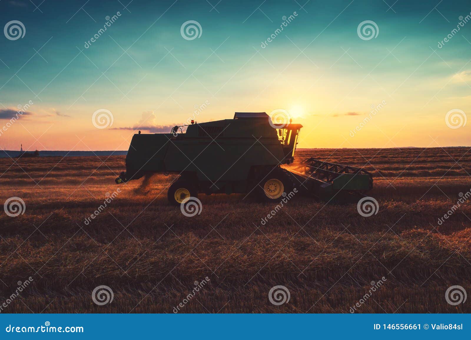 Combine Harvester Machine Working in a Wheat Field at Sunset Stock ...