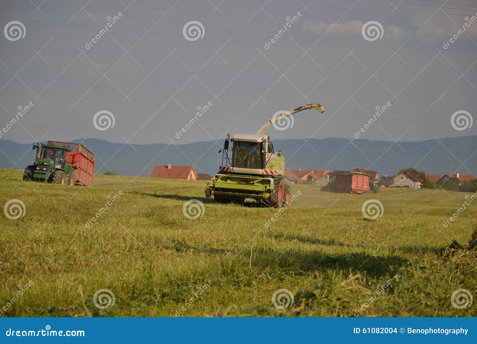 Combine Harvester Mows the Field, Harvester Unloading into a Tractor ...