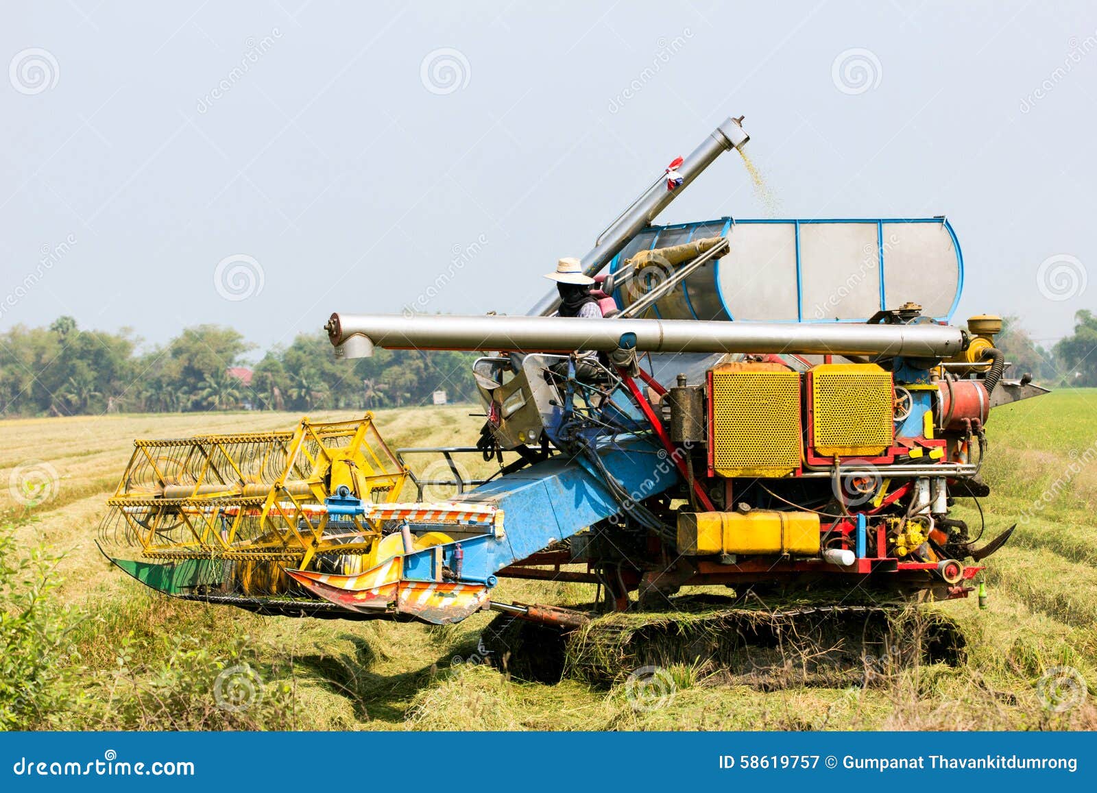 Combine Harvester in the Rice Field Stock Image - Image of heavy ...