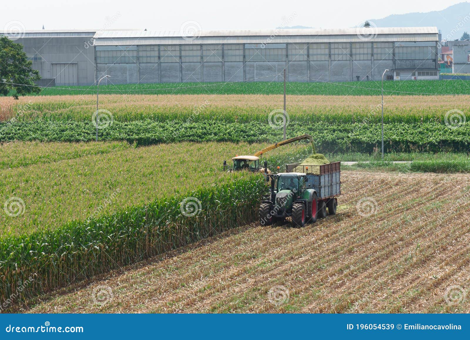 Combine Harvester and Tractor Used in Corn Harvesting Stock Image ...