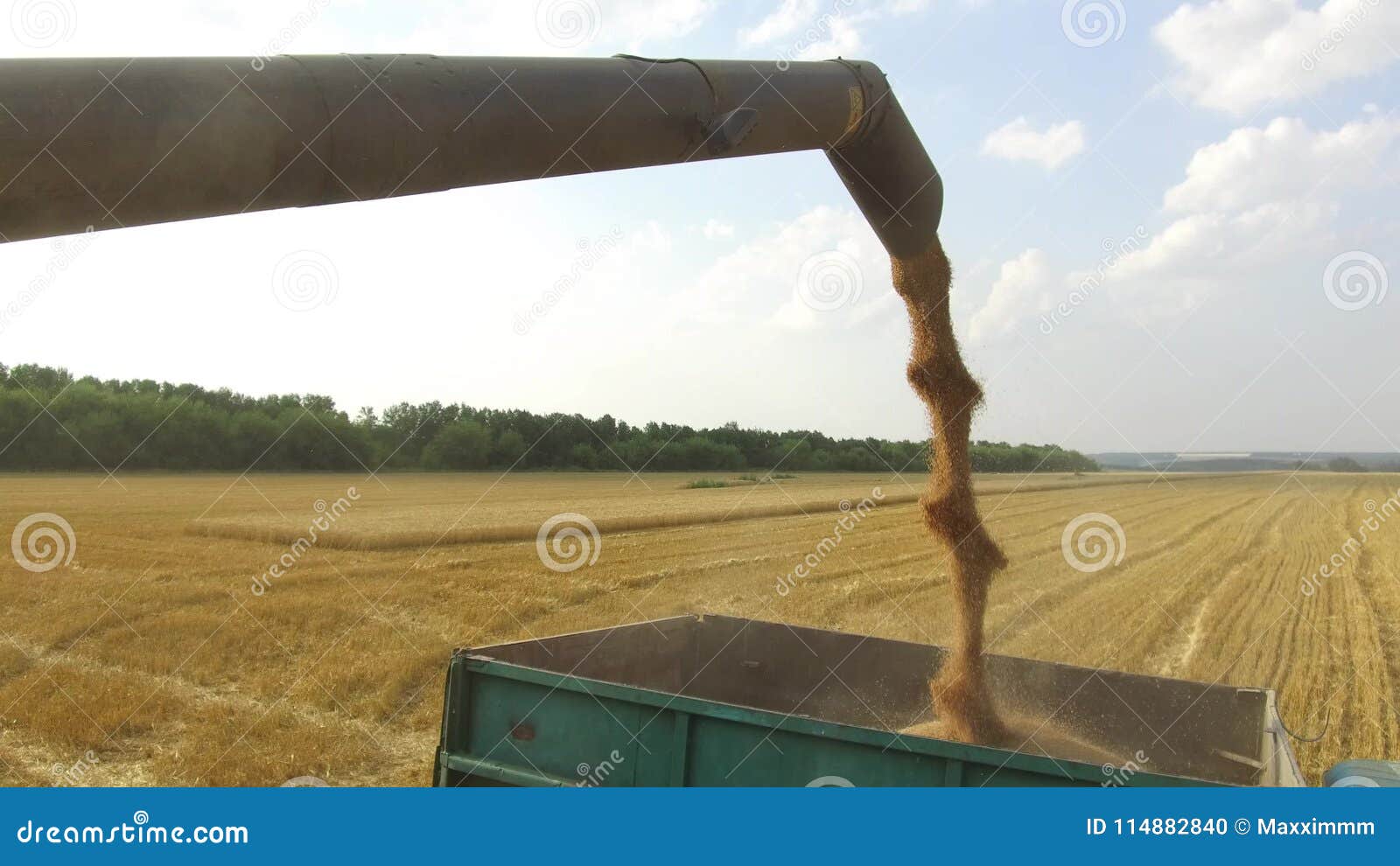 Combine Harvester Unloading Architecture Grain into a Wagon. Combine ...