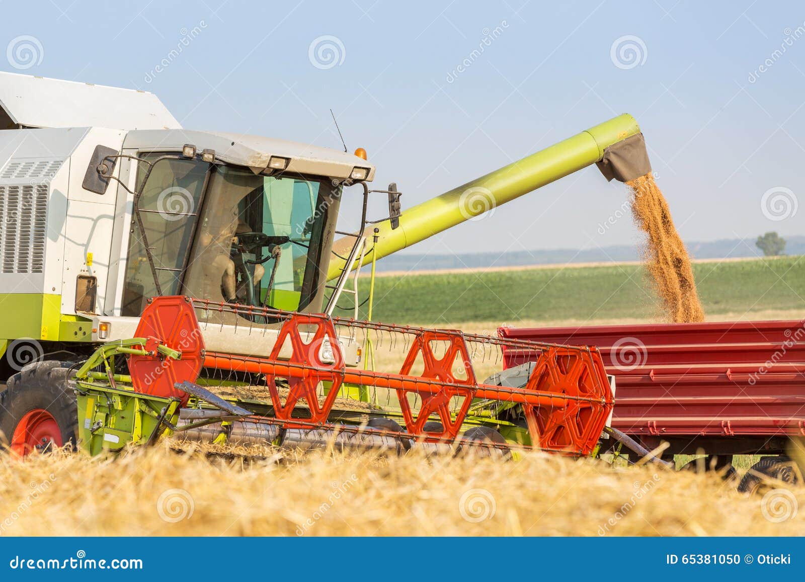 Combine Harvester Unloading Wheat Grains into Tractor Trailer. Stock ...