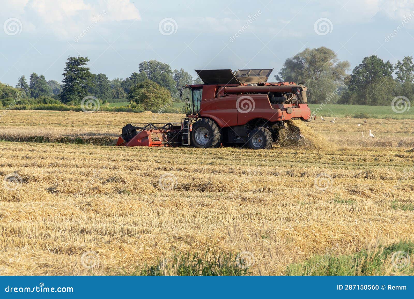 Combine harvester at work stock photo. Image of work - 287150560