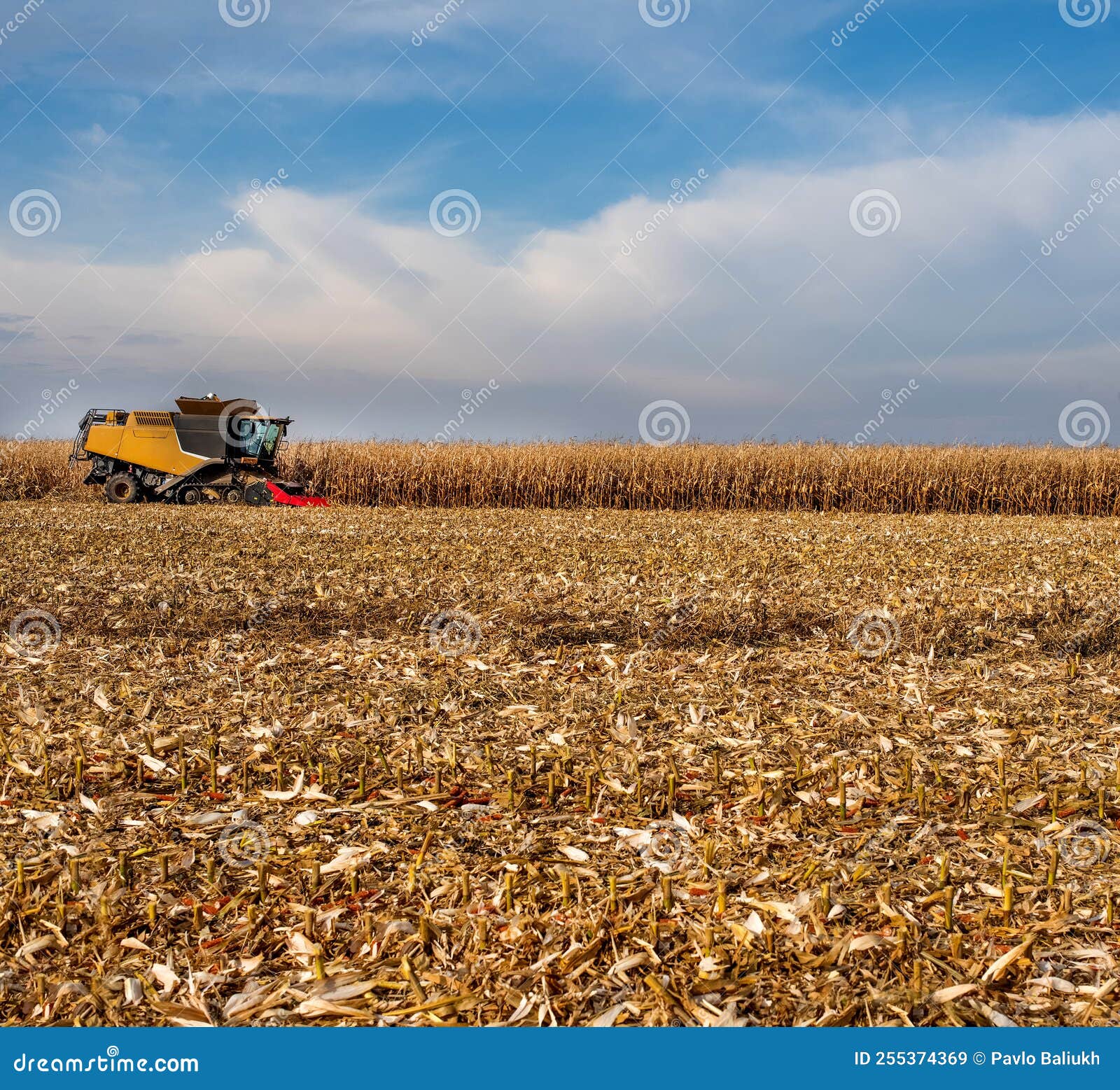 Combine Harvester Working in a Corn Field, Harvest Editorial Stock ... Combine Harvester Working in a Corn Field, Harvest Editorial Stock ...
