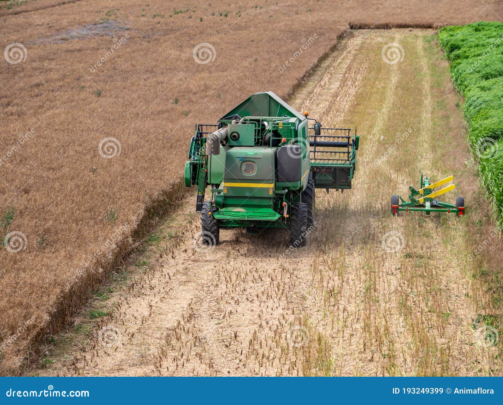 Combine Harvester Working on a Field Editorial Stock Image - Image of ...