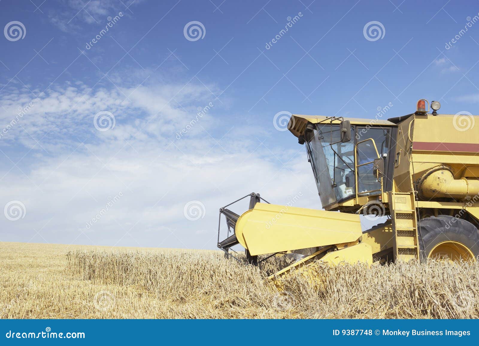 Combine Harvester Working in Field Stock Photo - Image of cutting ...